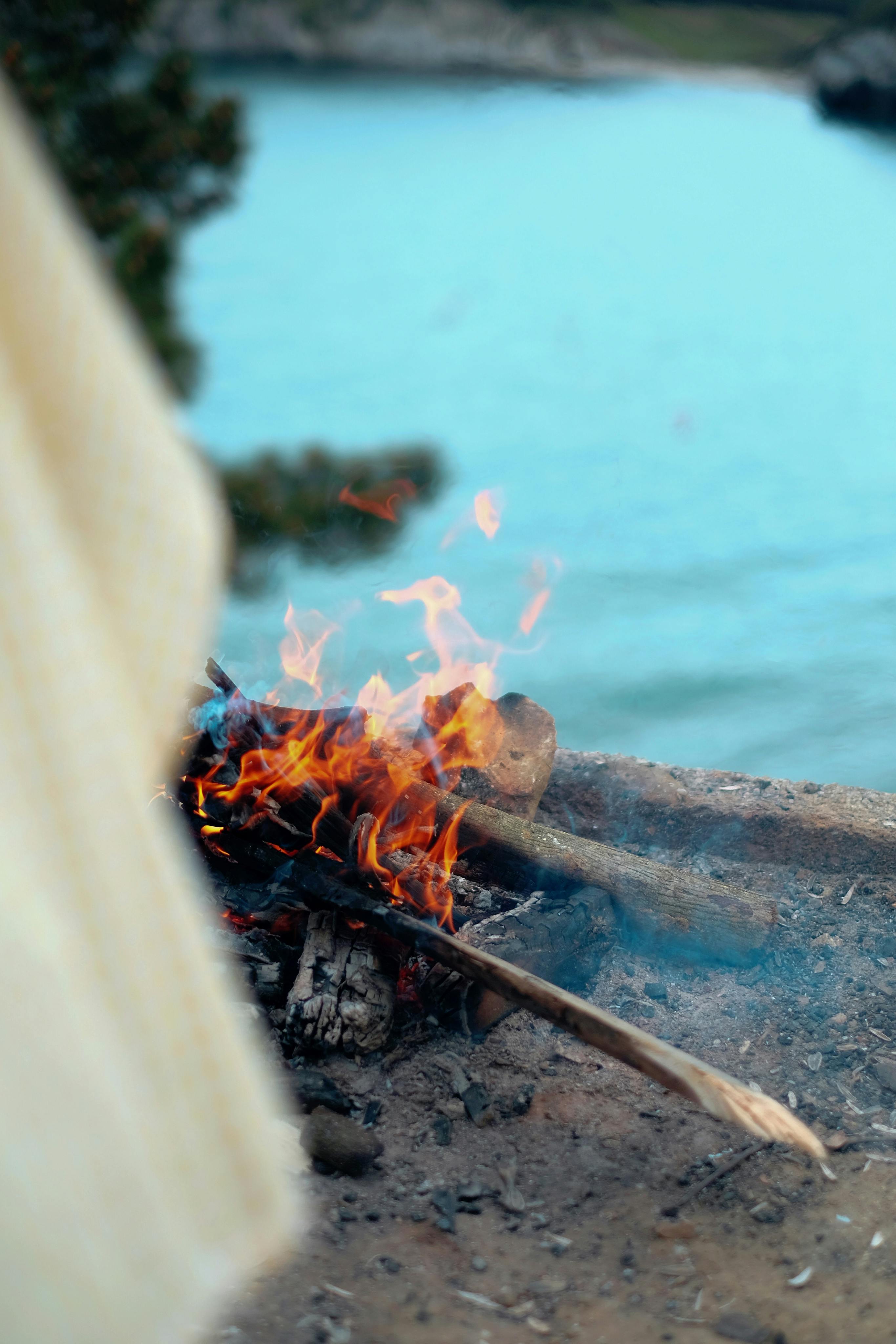 Heat Shell Photos, Download The BEST Free Heat Shell Stock Photos & HD ...