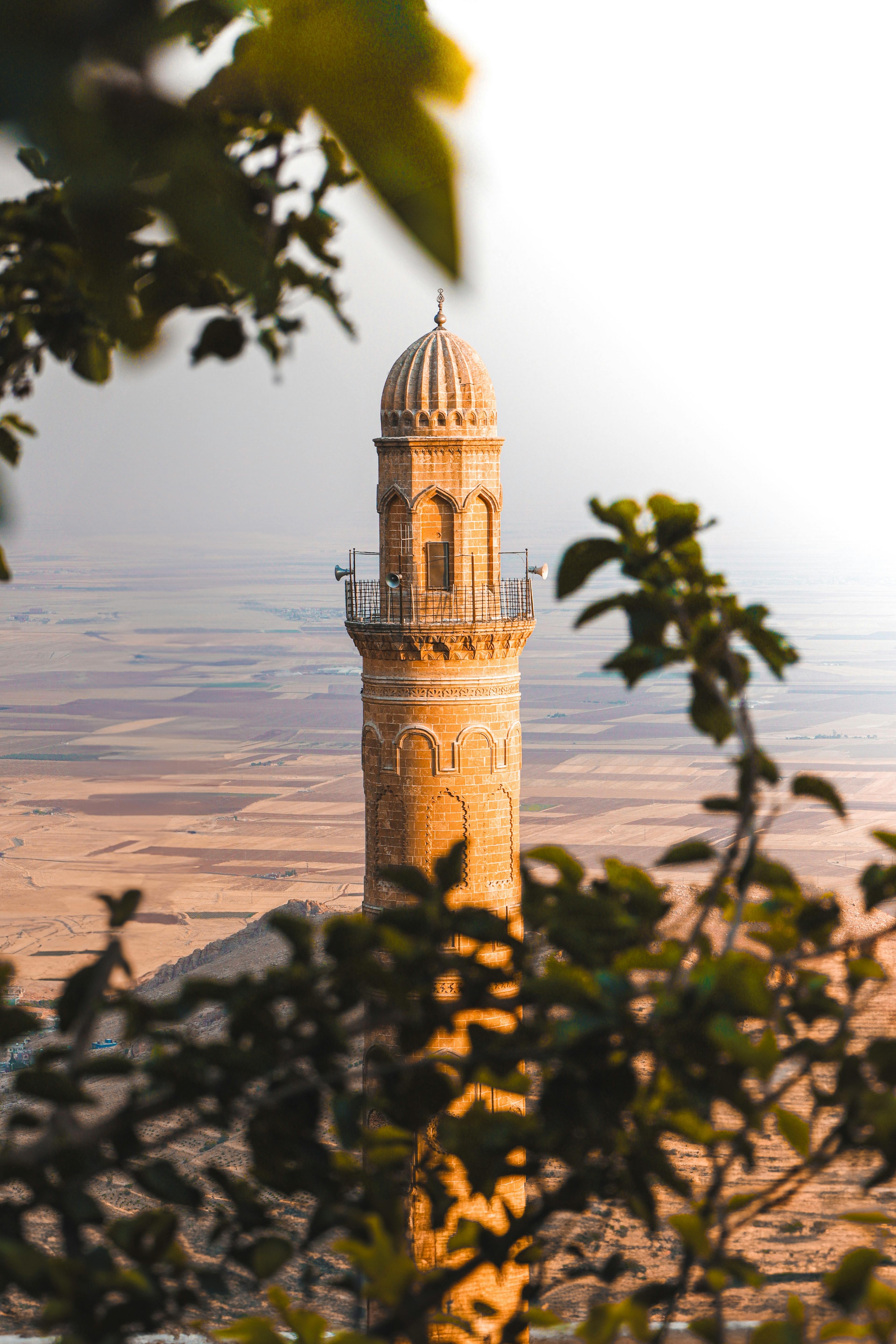 Pexels Turkey Photos, Download The BEST Free Pexels Turkey Stock Photos ...