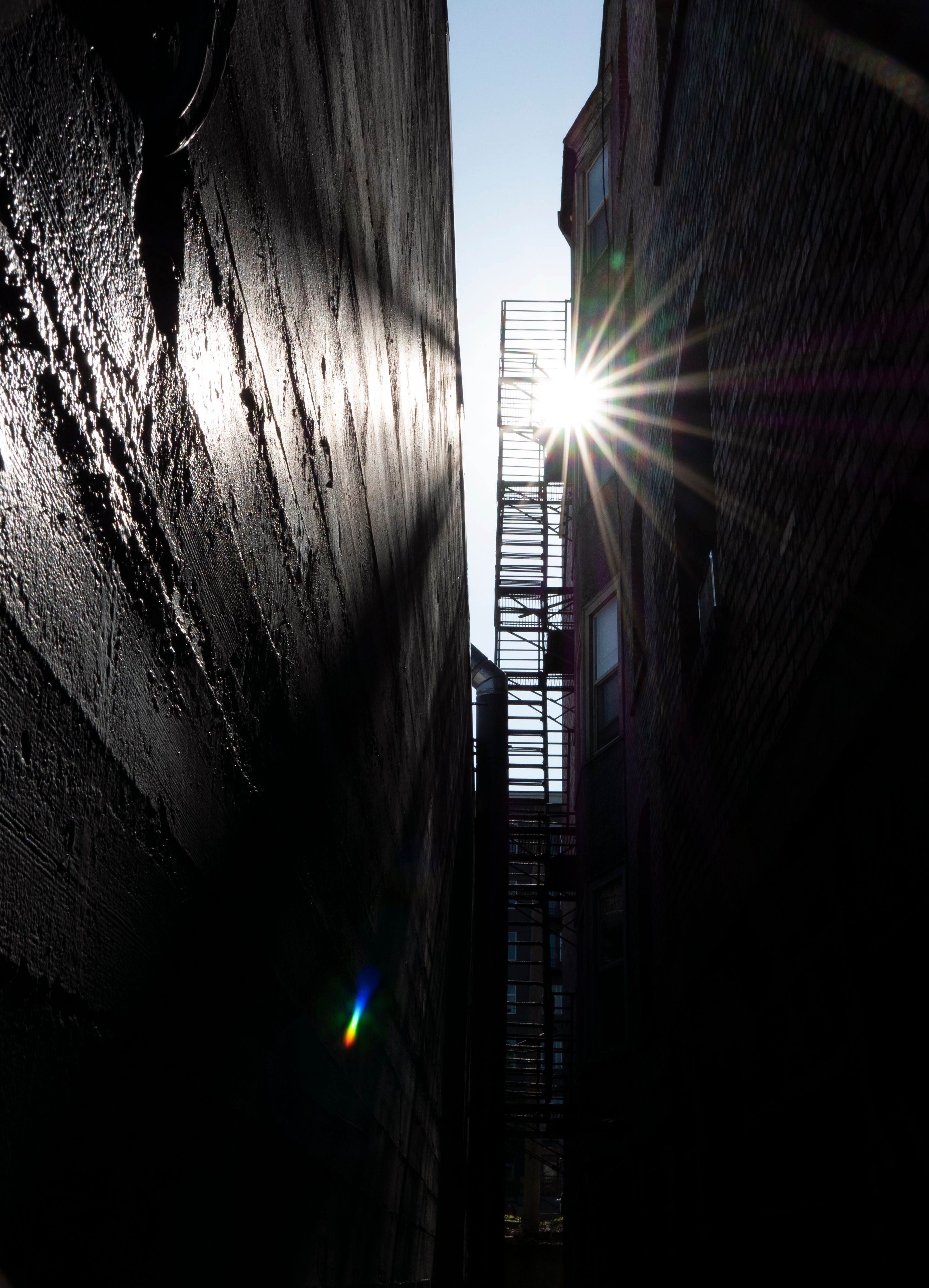 Erik Scheel - Photography