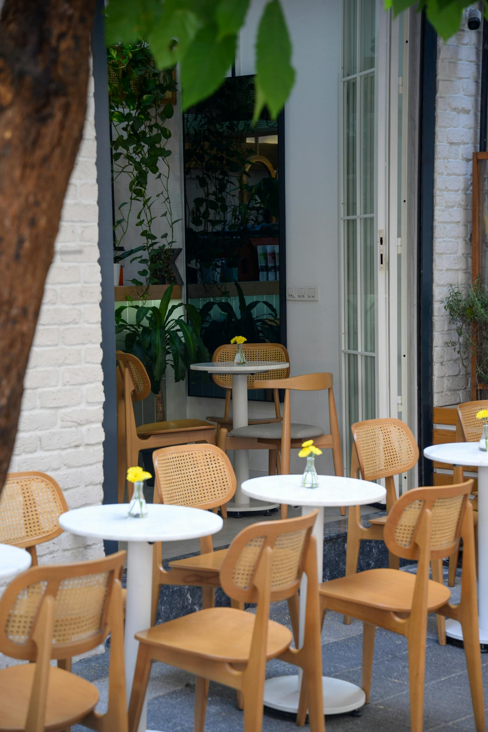 Cafe Images Photos, Download The BEST Free Cafe Images Stock Photos ...