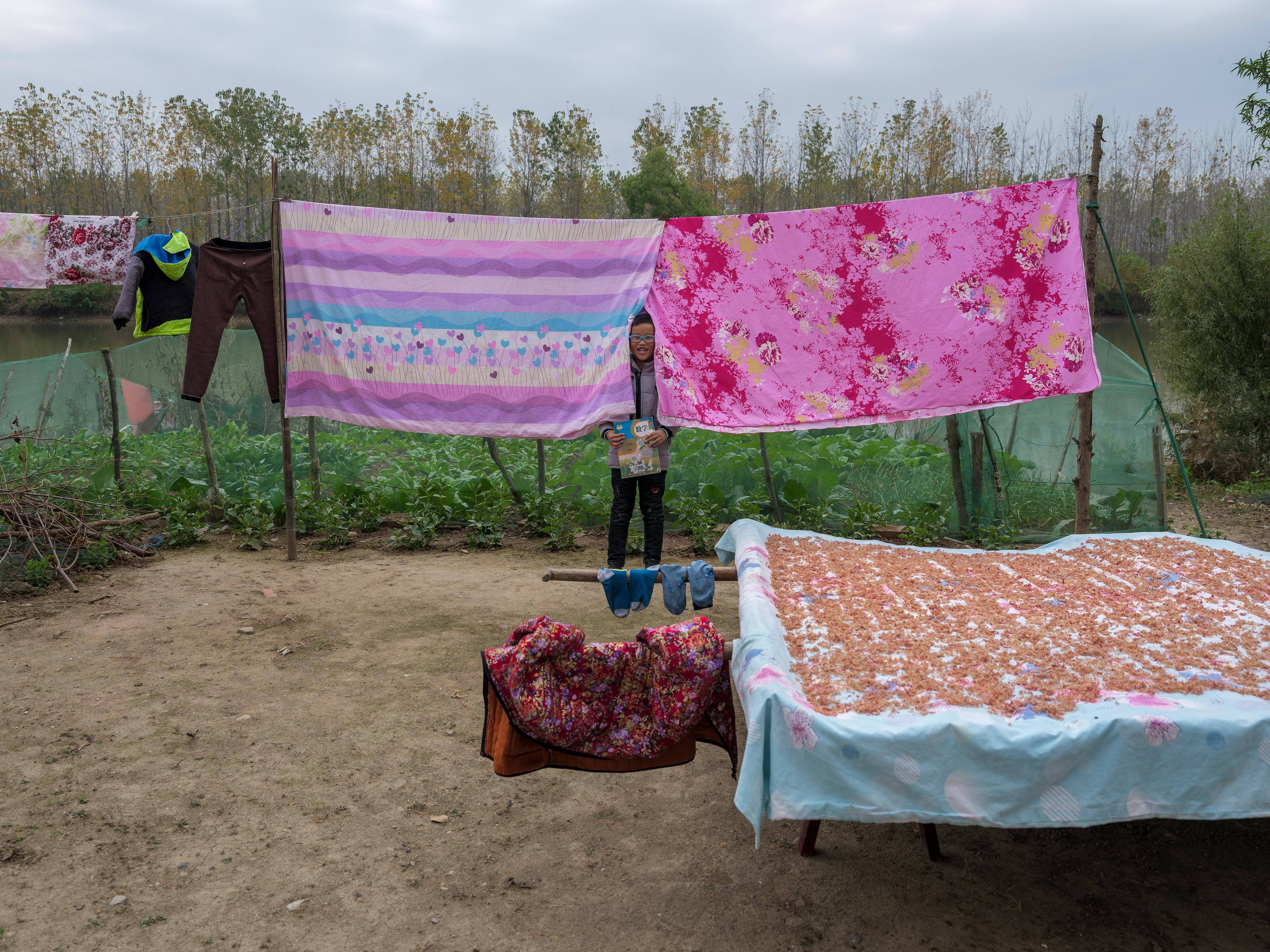 Sludge Drying Bed Photos, Download The BEST Free Sludge Drying Bed ...