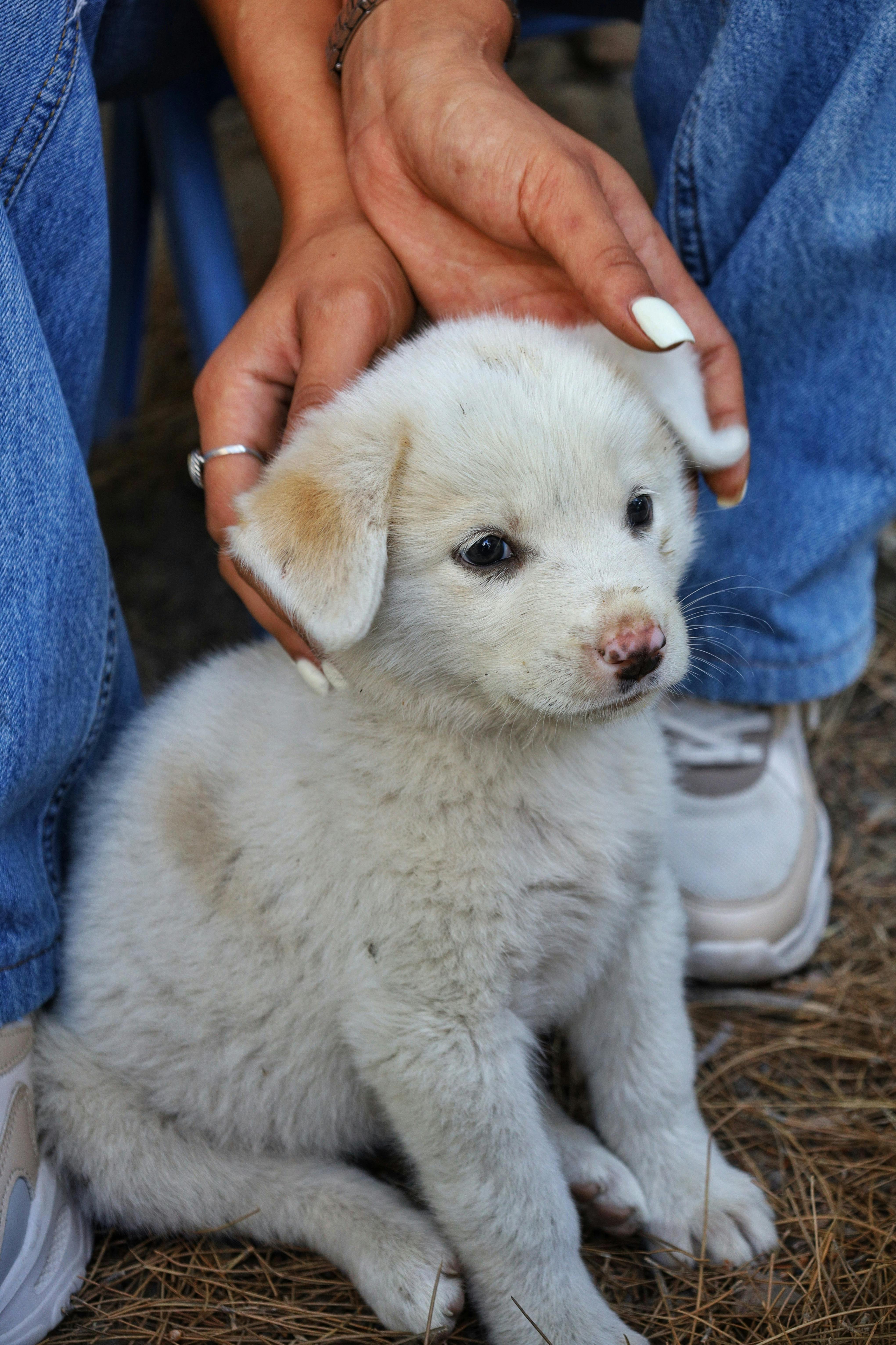 Nurturing Photos, Download The BEST Free Nurturing Stock Photos & HD Images