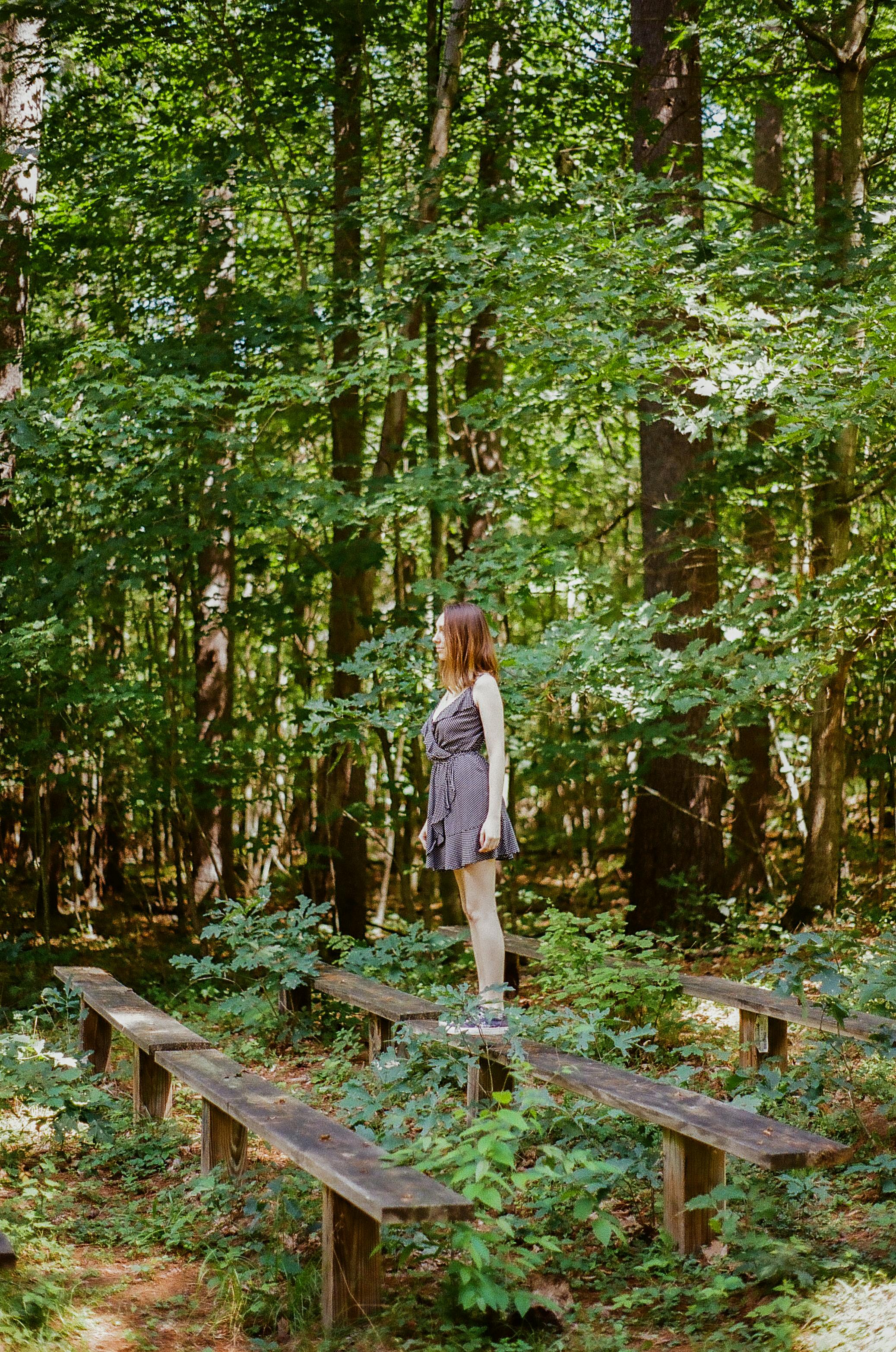 Woman Standing on Benches in Forest · Free Stock Photo