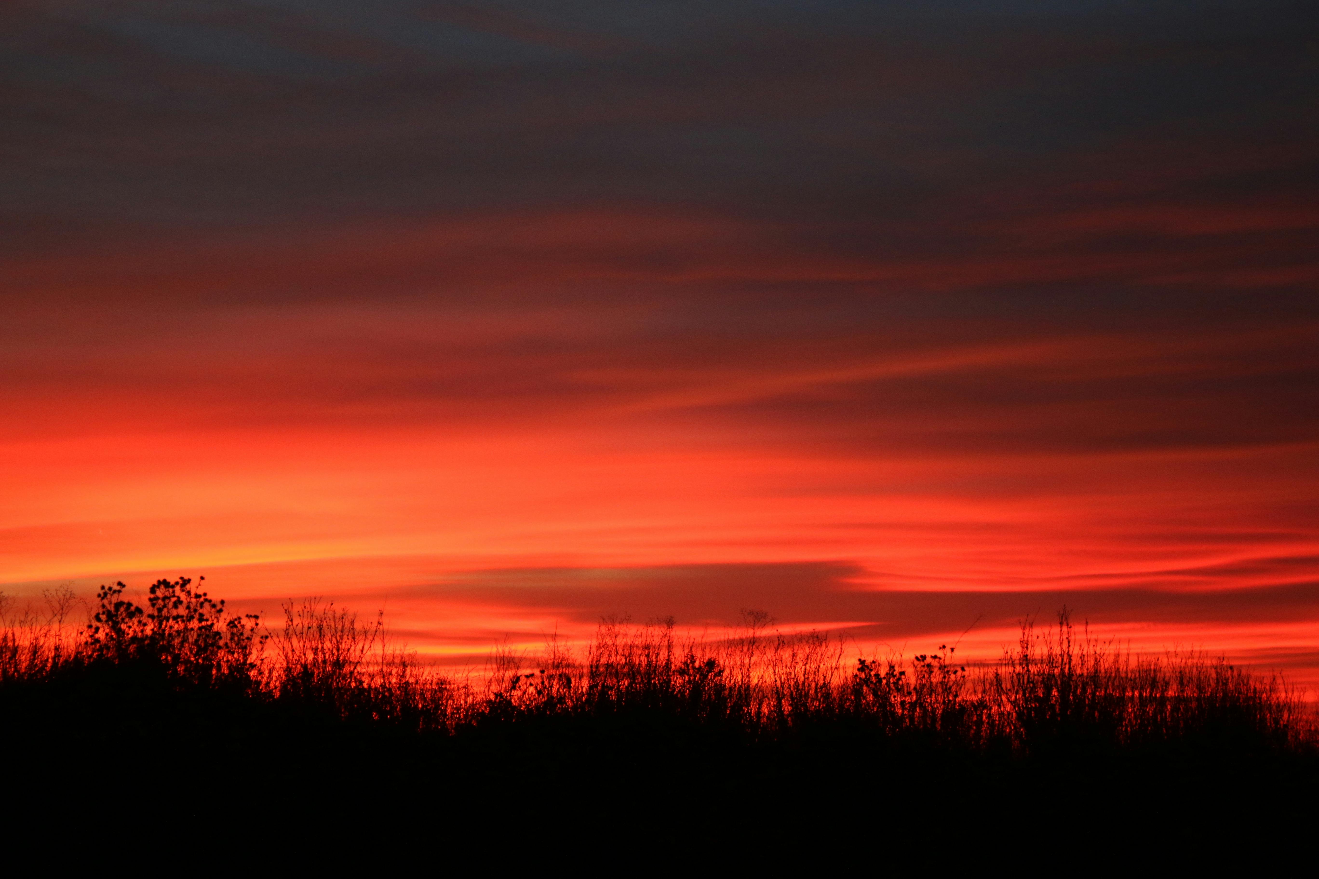 Red Sky at Sunset · Free Stock Photo