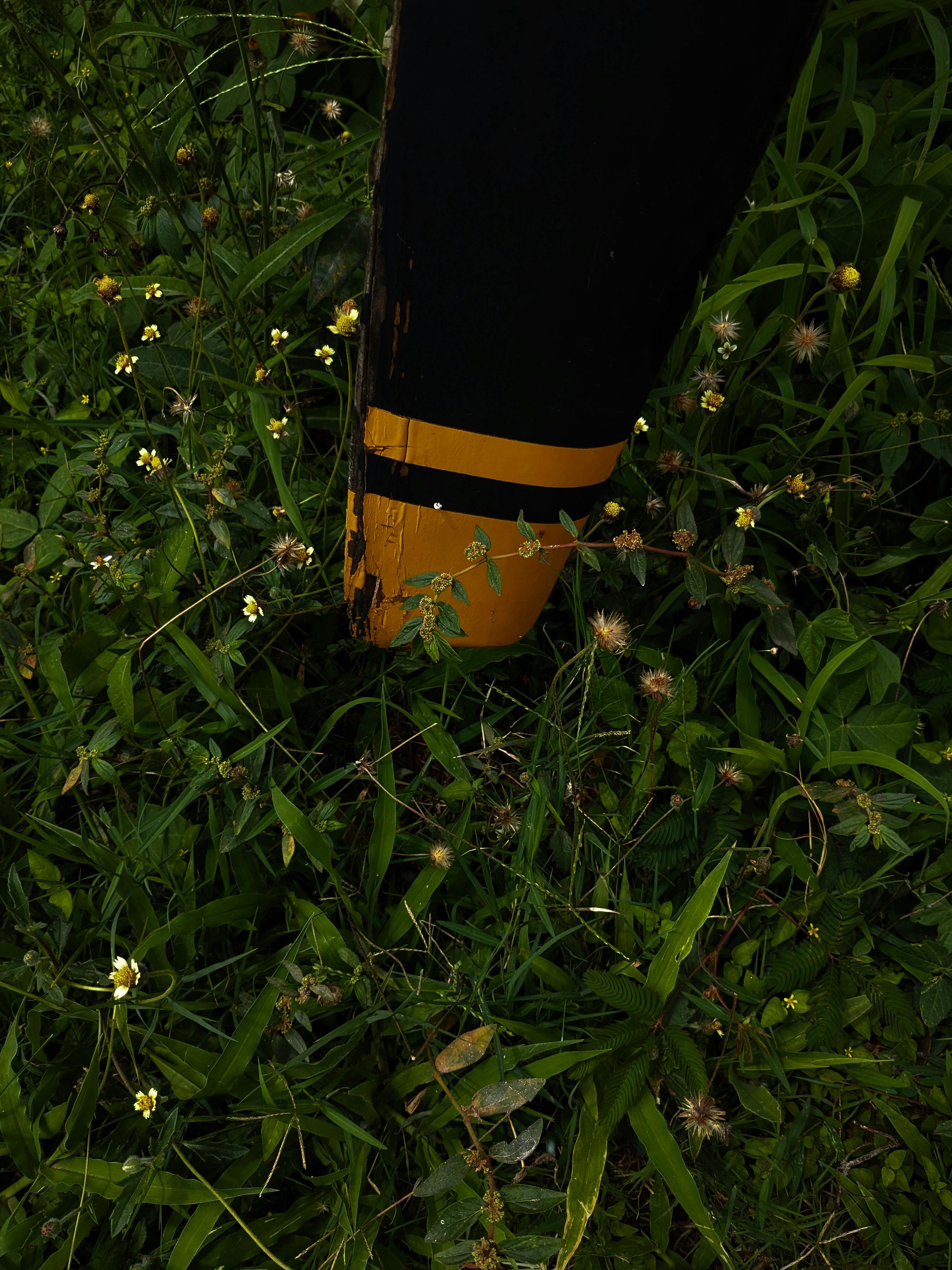 Albin Biju - การถ่ายภาพ