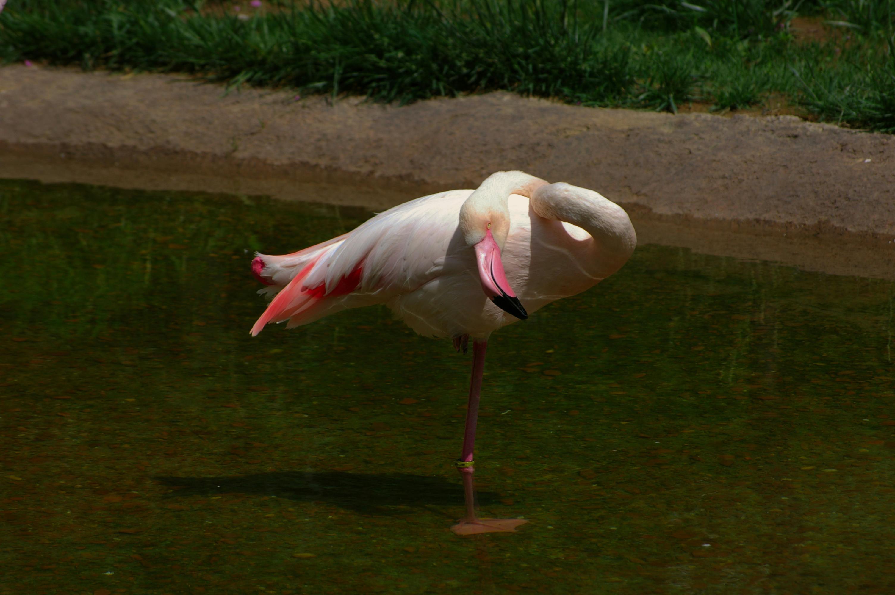 Bradley Howington - 写真