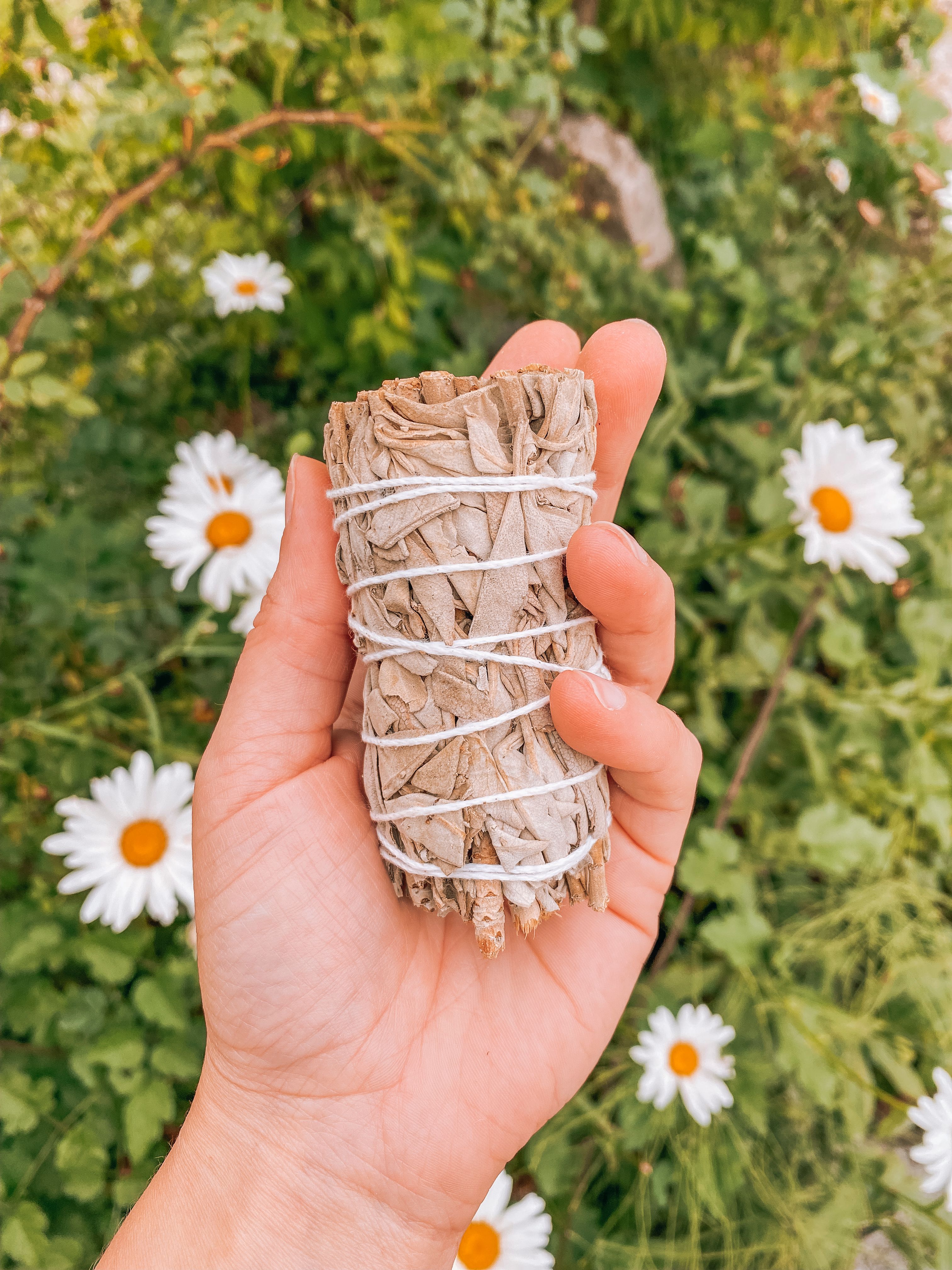 Sage Wand on Hand · Free Stock Photo