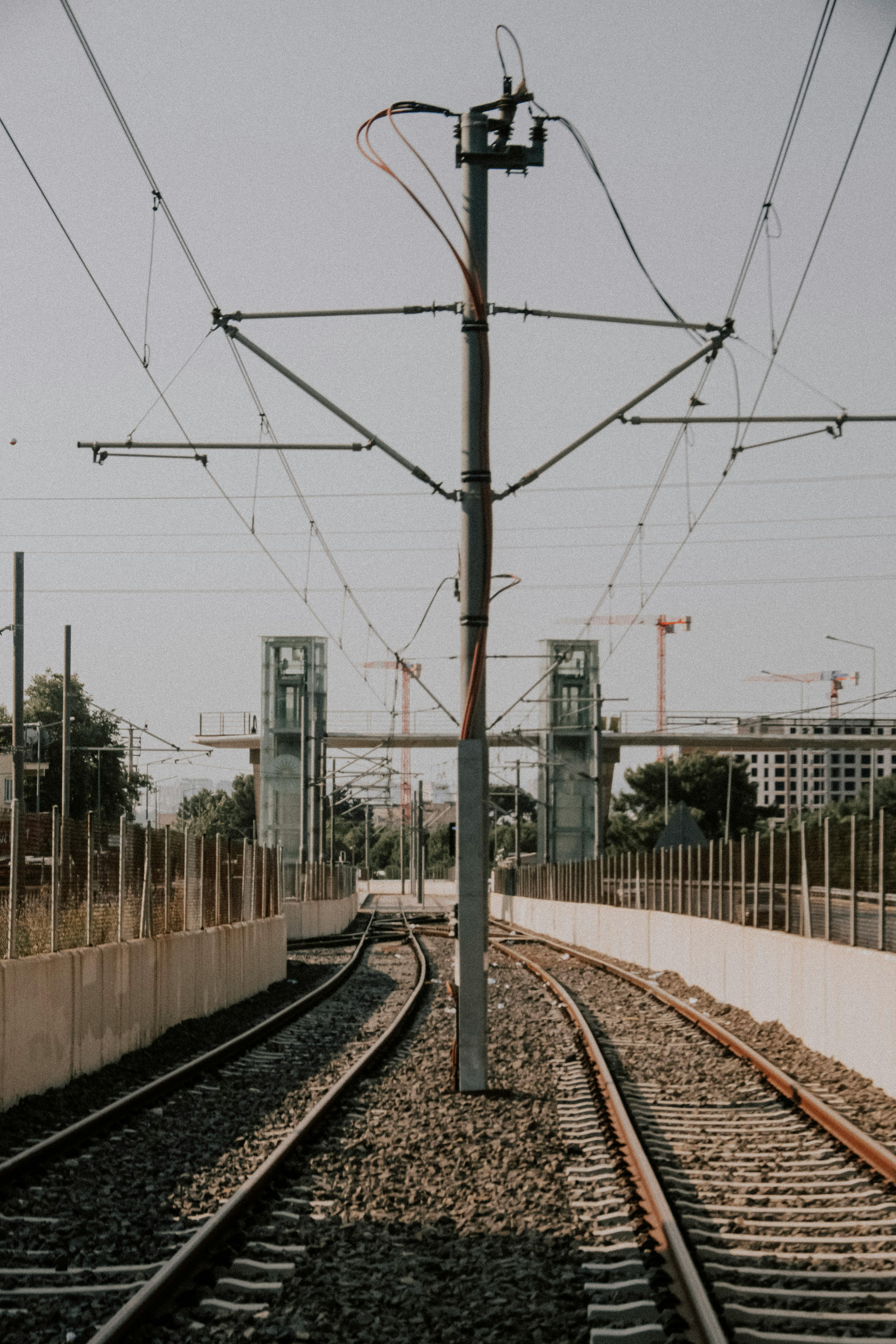 Tram Tracks and Utility Poles · Free Stock Photo