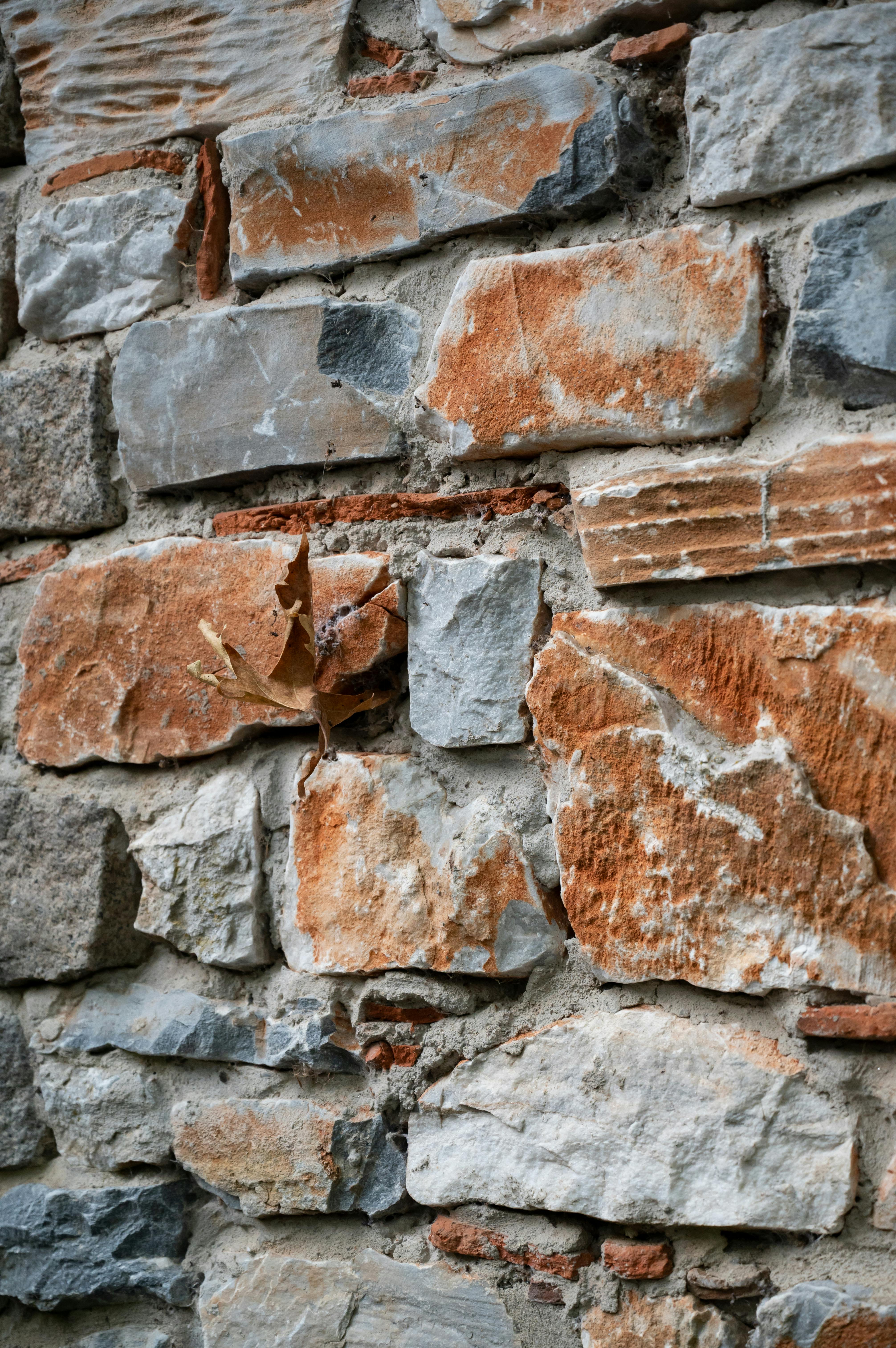 Flex Stone Wall Cladding Photos, Download The BEST Free Flex Stone Wall ...