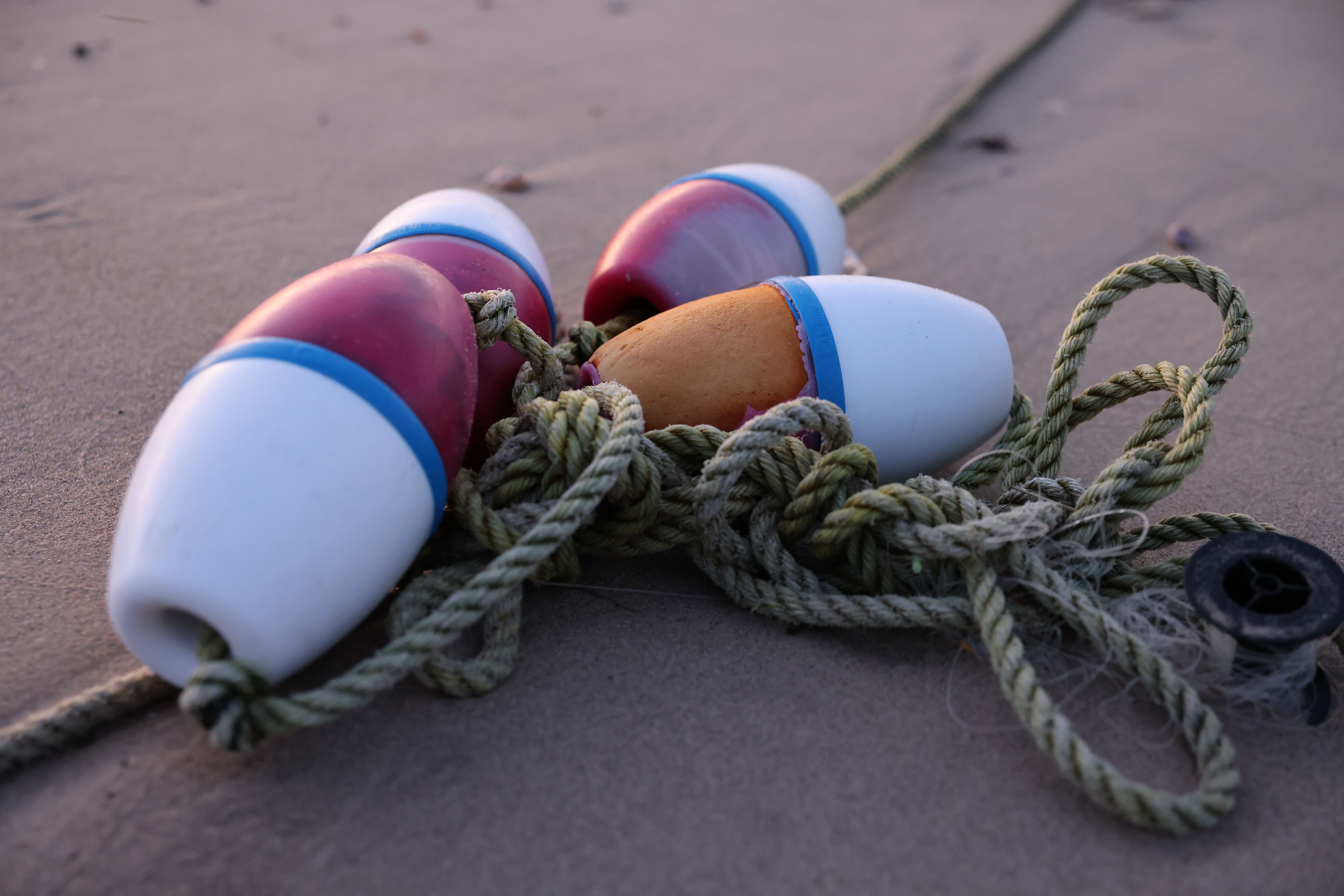 Buoys with a Rope · Free Stock Photo