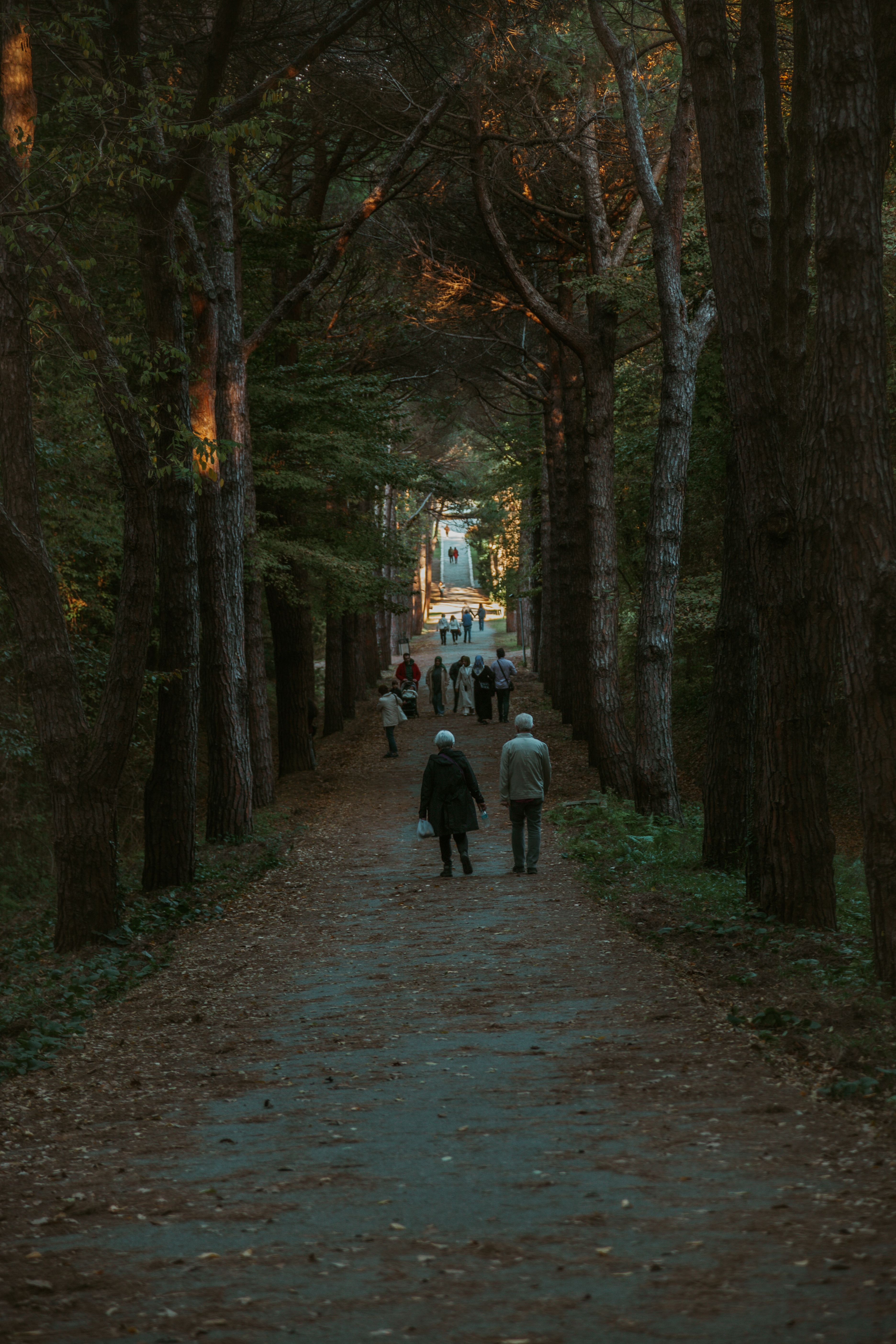 People Walking Under the Golden Yellow Trees · Free Stock Photo