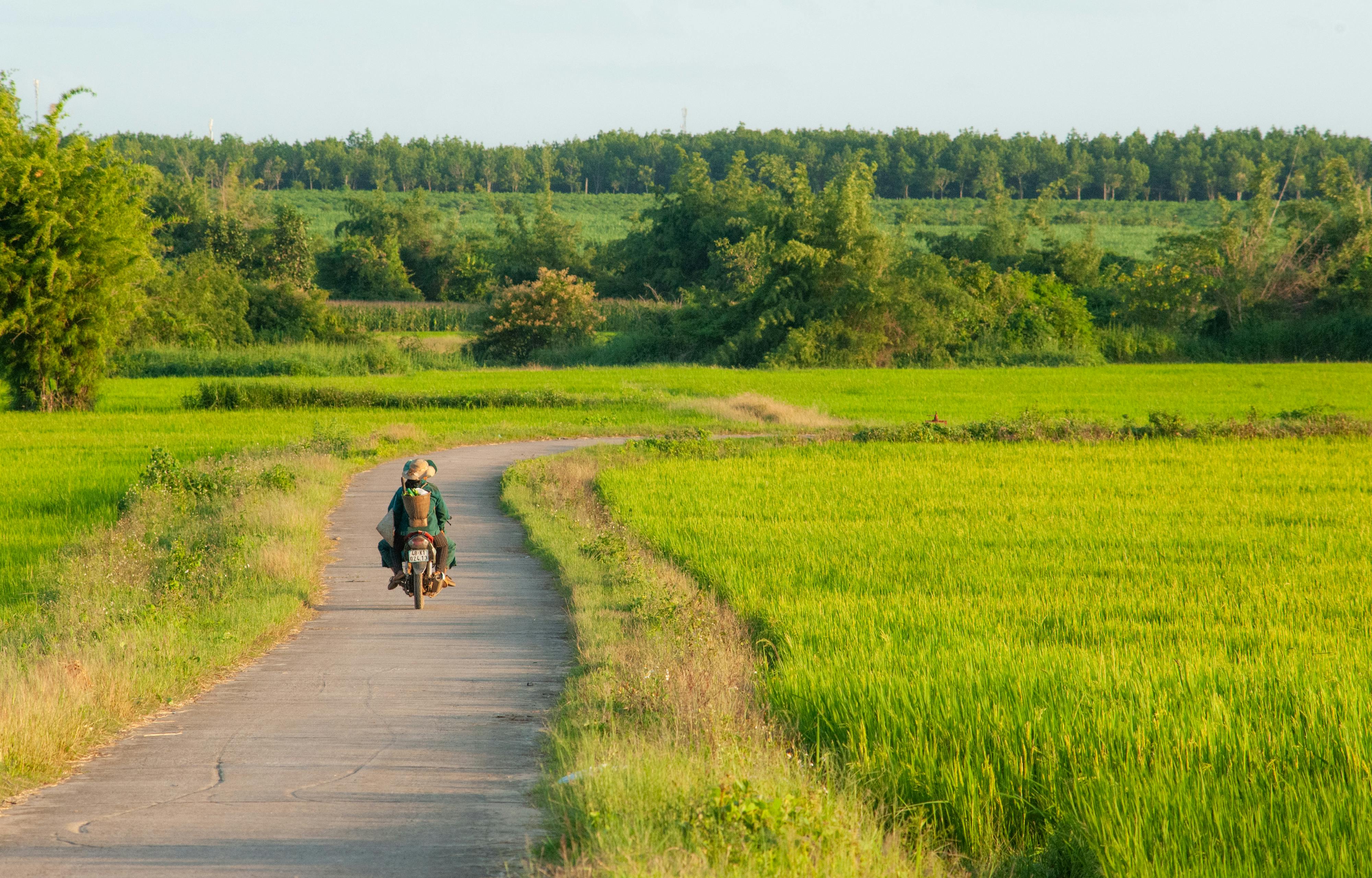 People Riding a Motorcycle on a Narrow Road in Green Fields · Free ...