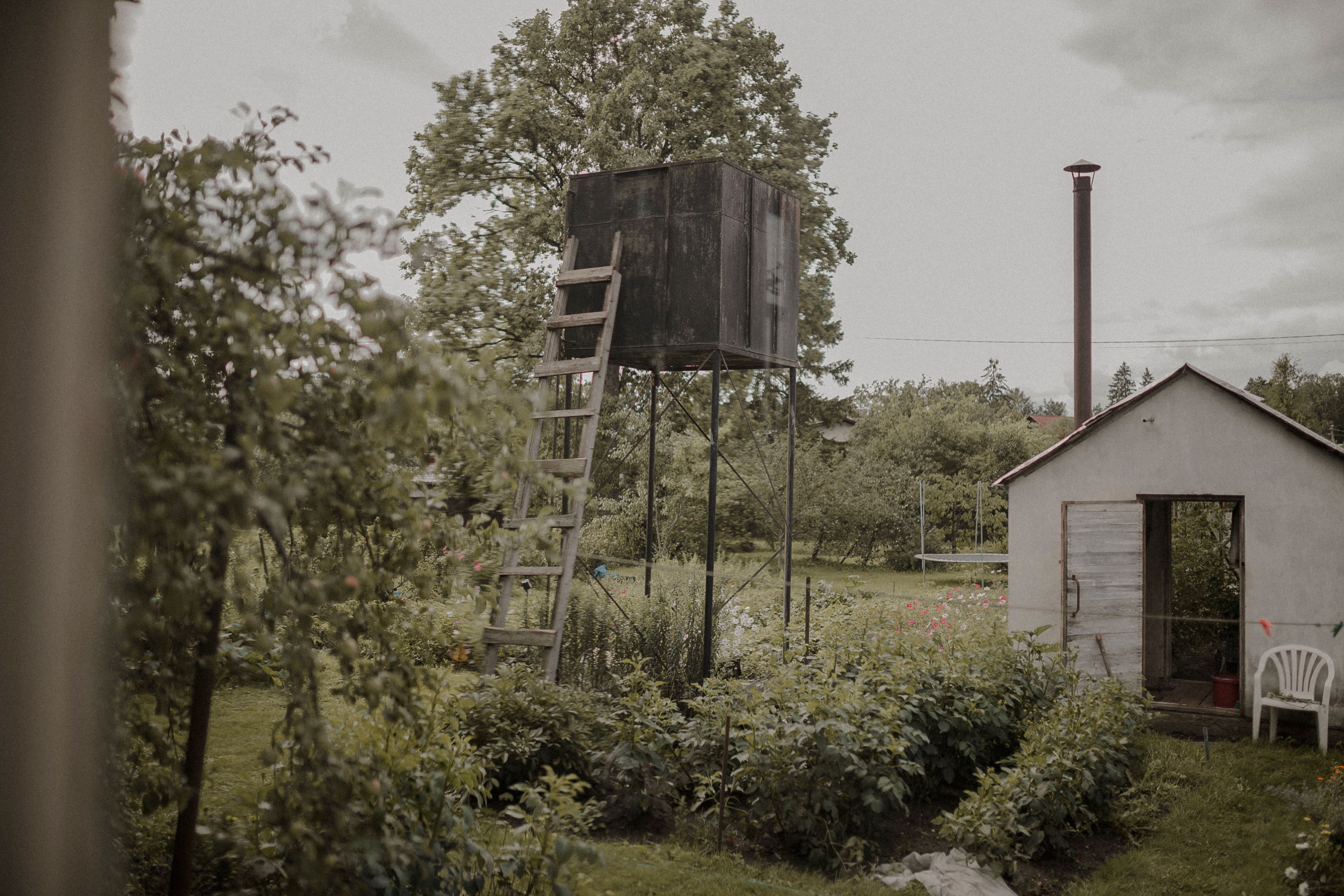 Rural Yard with Glasshouse and Tree House · Free Stock Photo