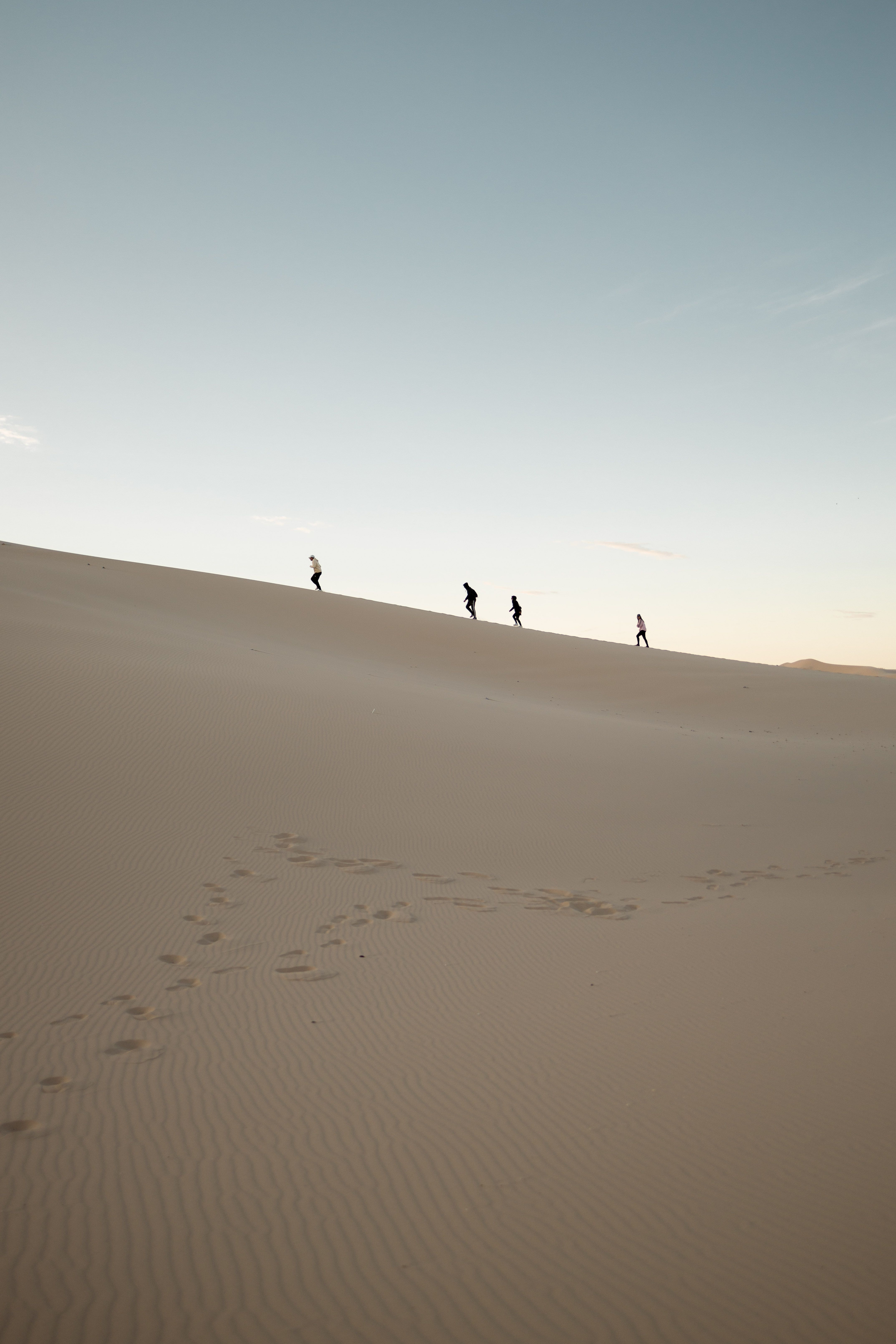 People walking on a sand dune at sunset · Free Stock Photo