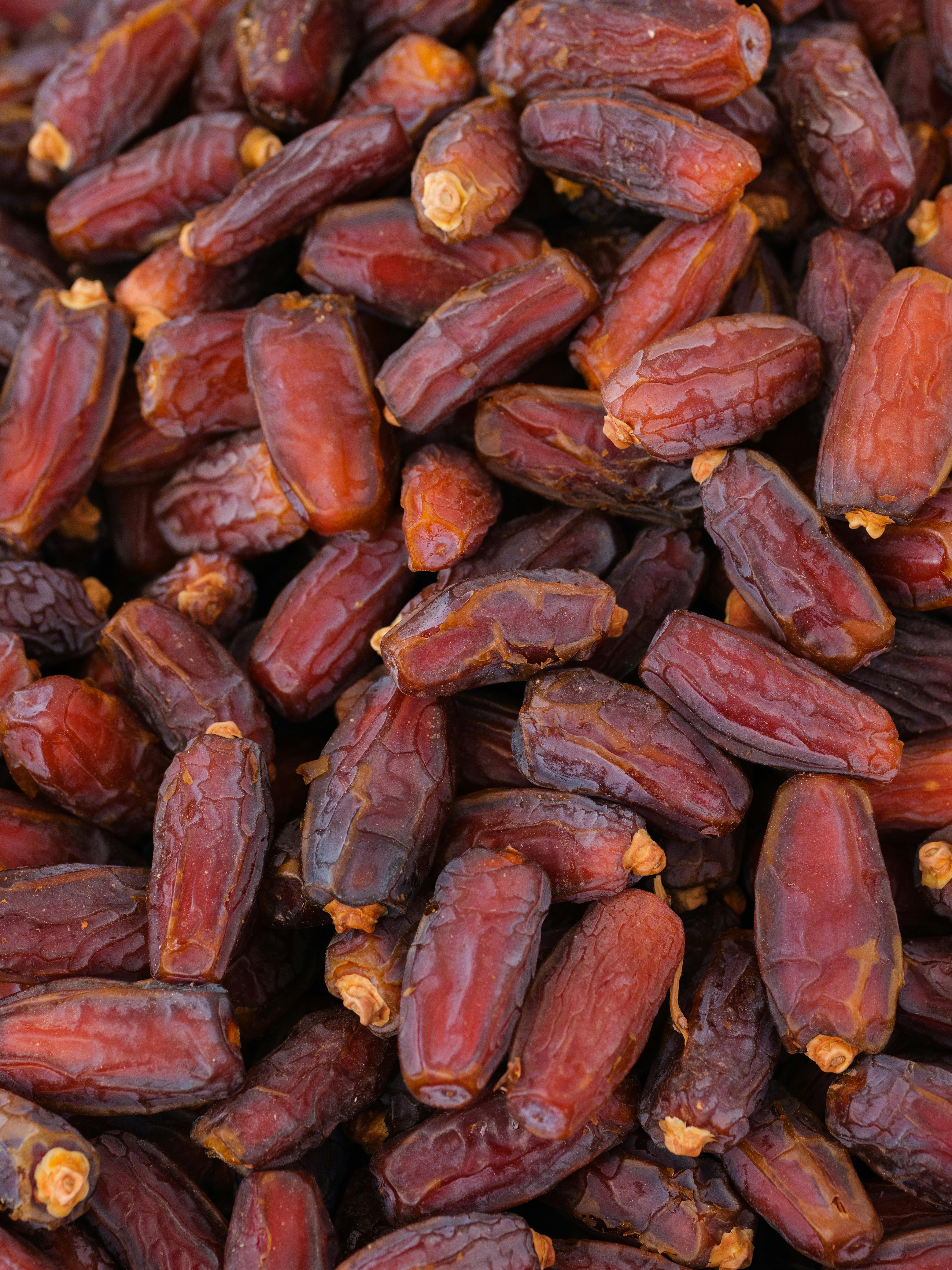 Closeup of Dry Dates · Free Stock Photo