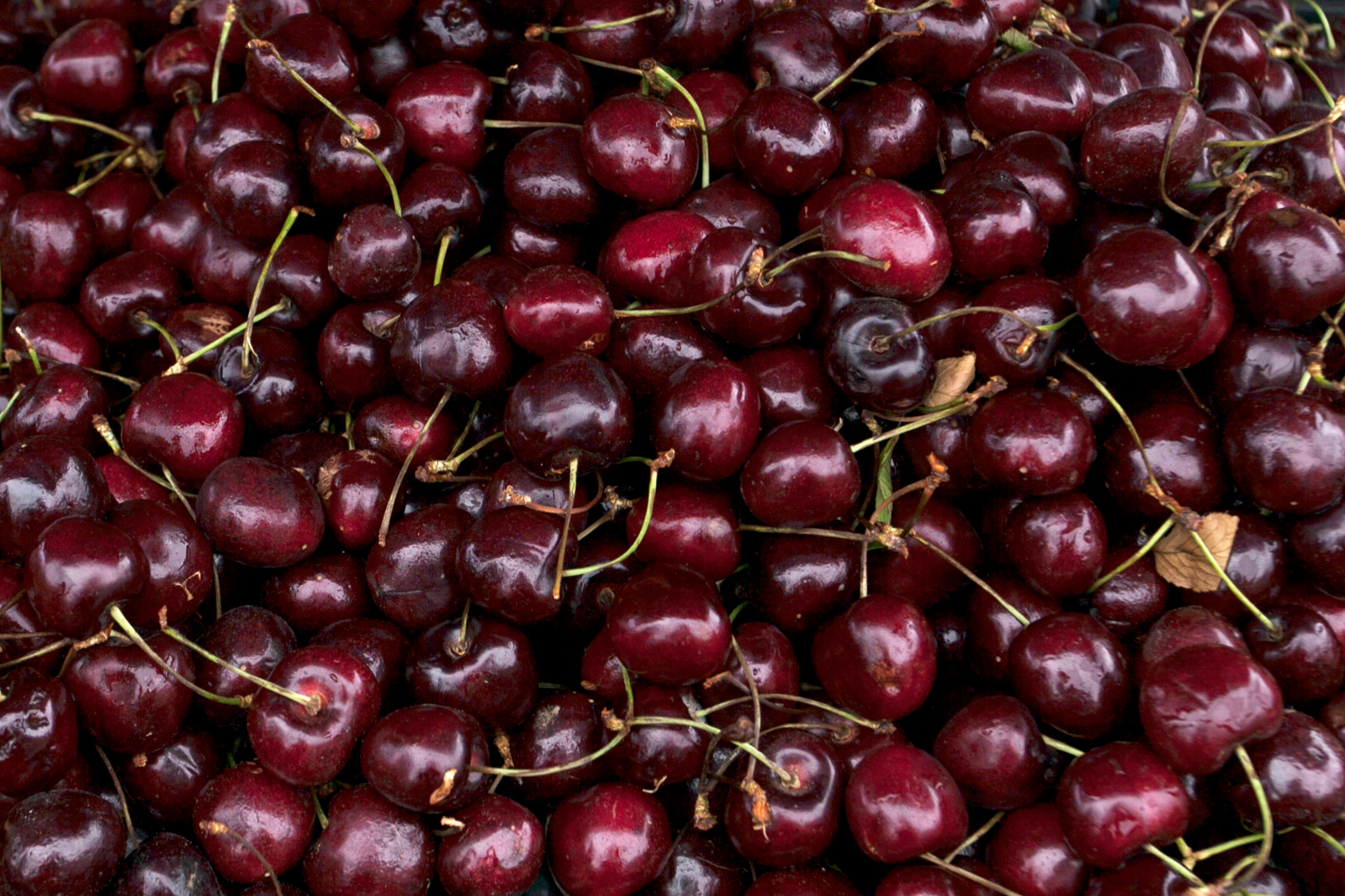 Cherry Poker Photos, Download The BEST Free Cherry Poker Stock Photos ...