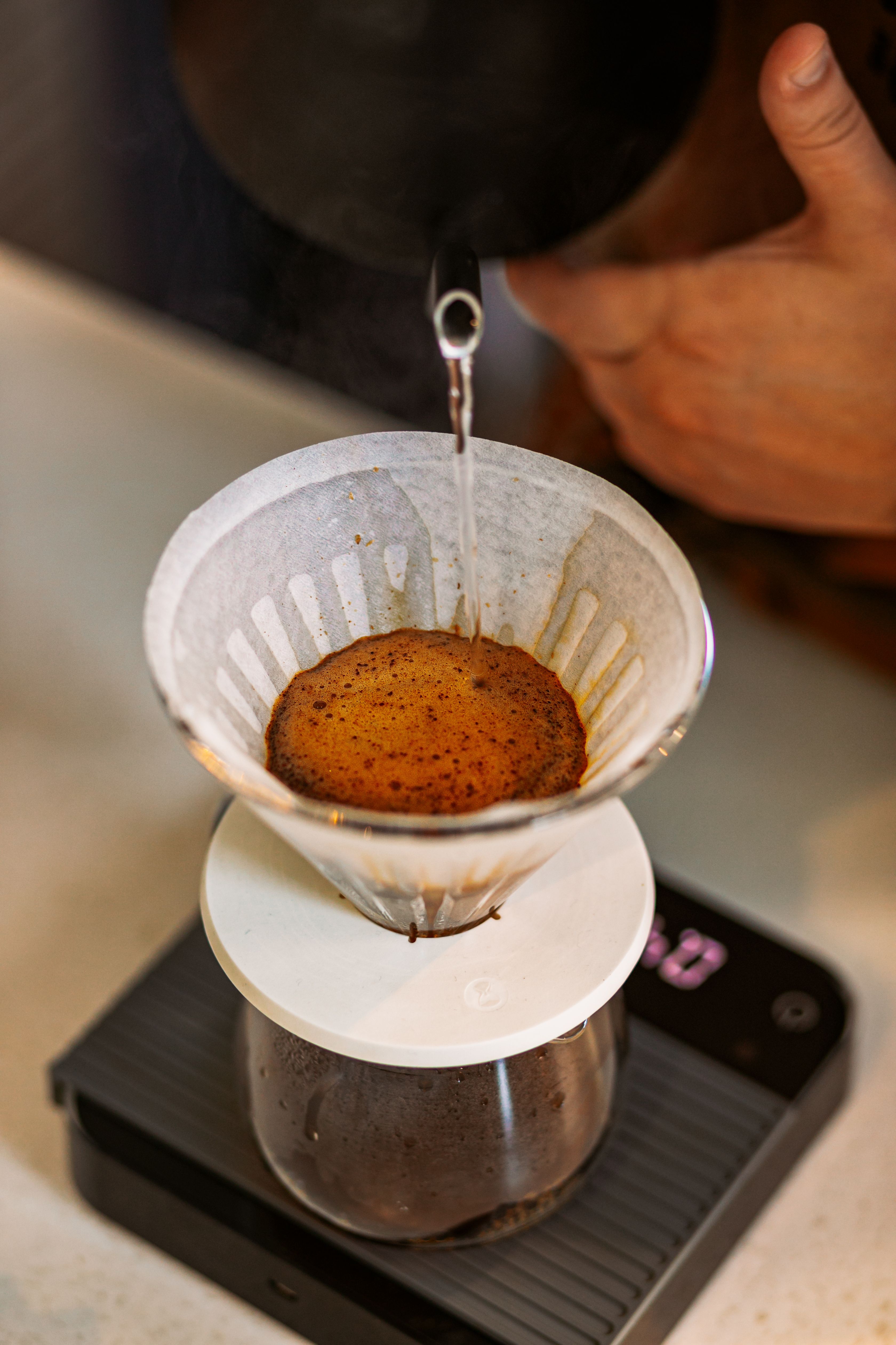 Pouring Water through Sieve on Pitcher with Coffee · Free Stock Photo