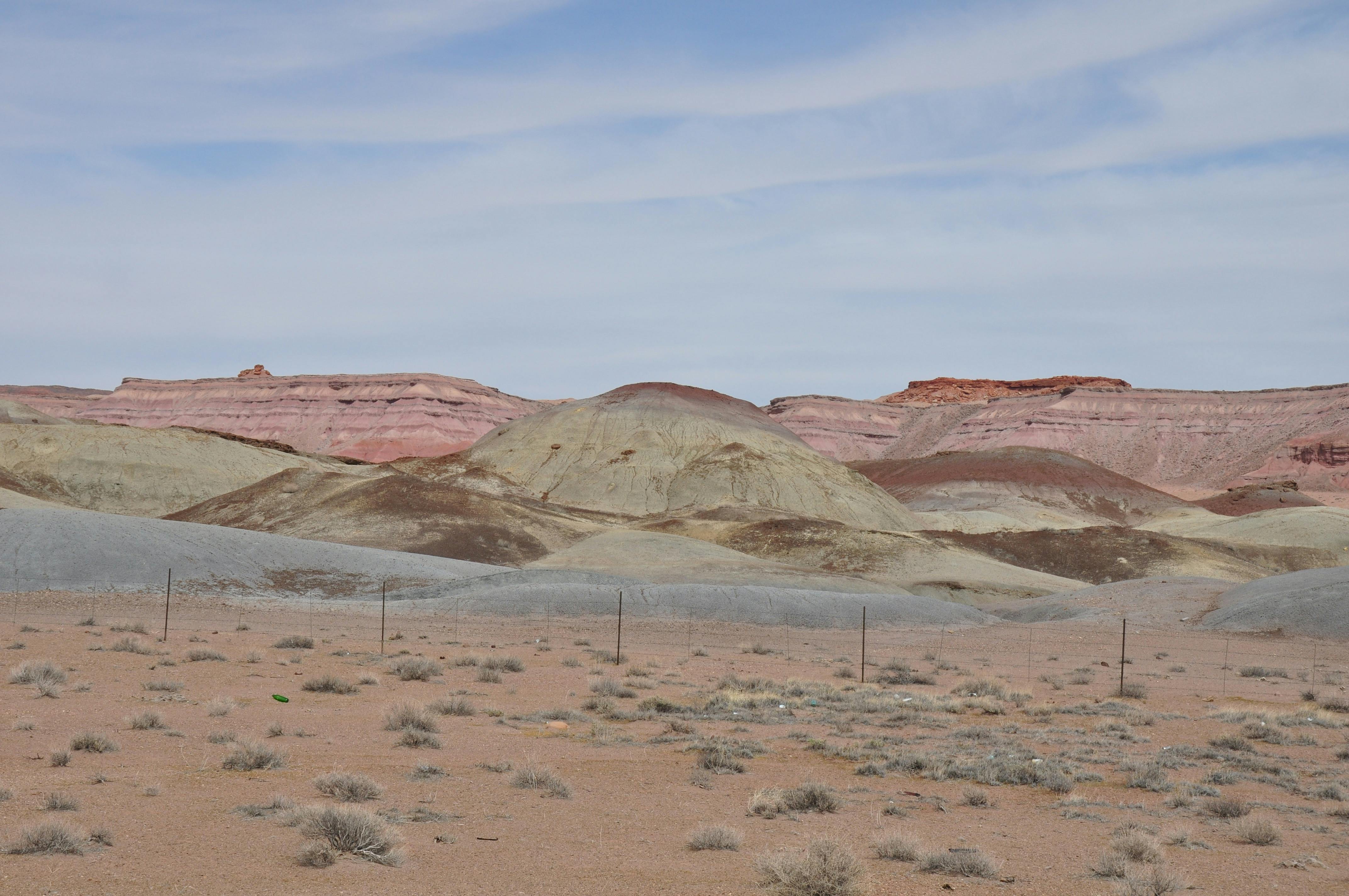 Neighbor Fence Photos, Download The BEST Free Neighbor Fence Stock ...