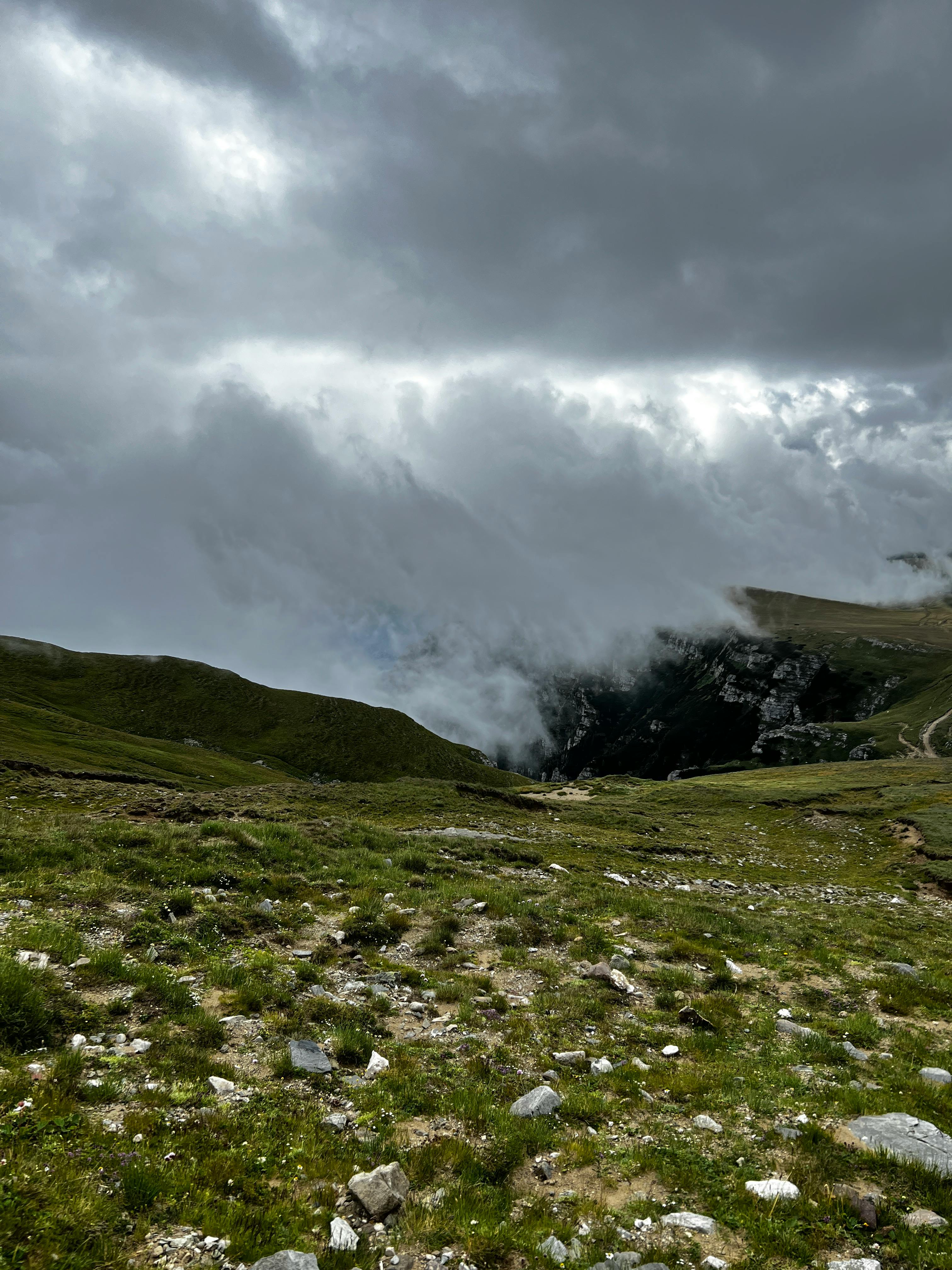 Scattered Self Photos, Download The BEST Free Scattered Self Stock ...