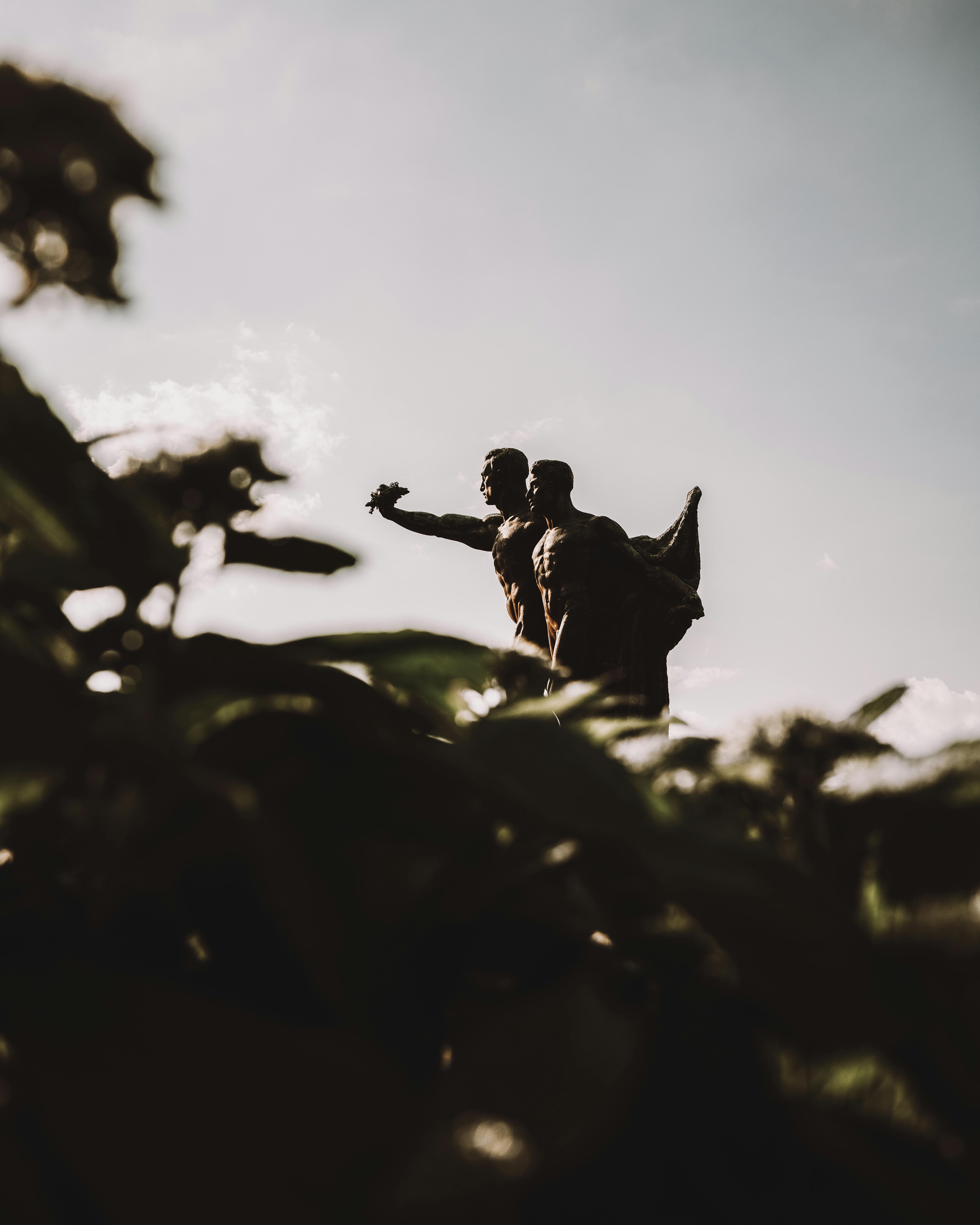 Dramatic Statue in Stresa Italy with Foliage · Free Stock Photo