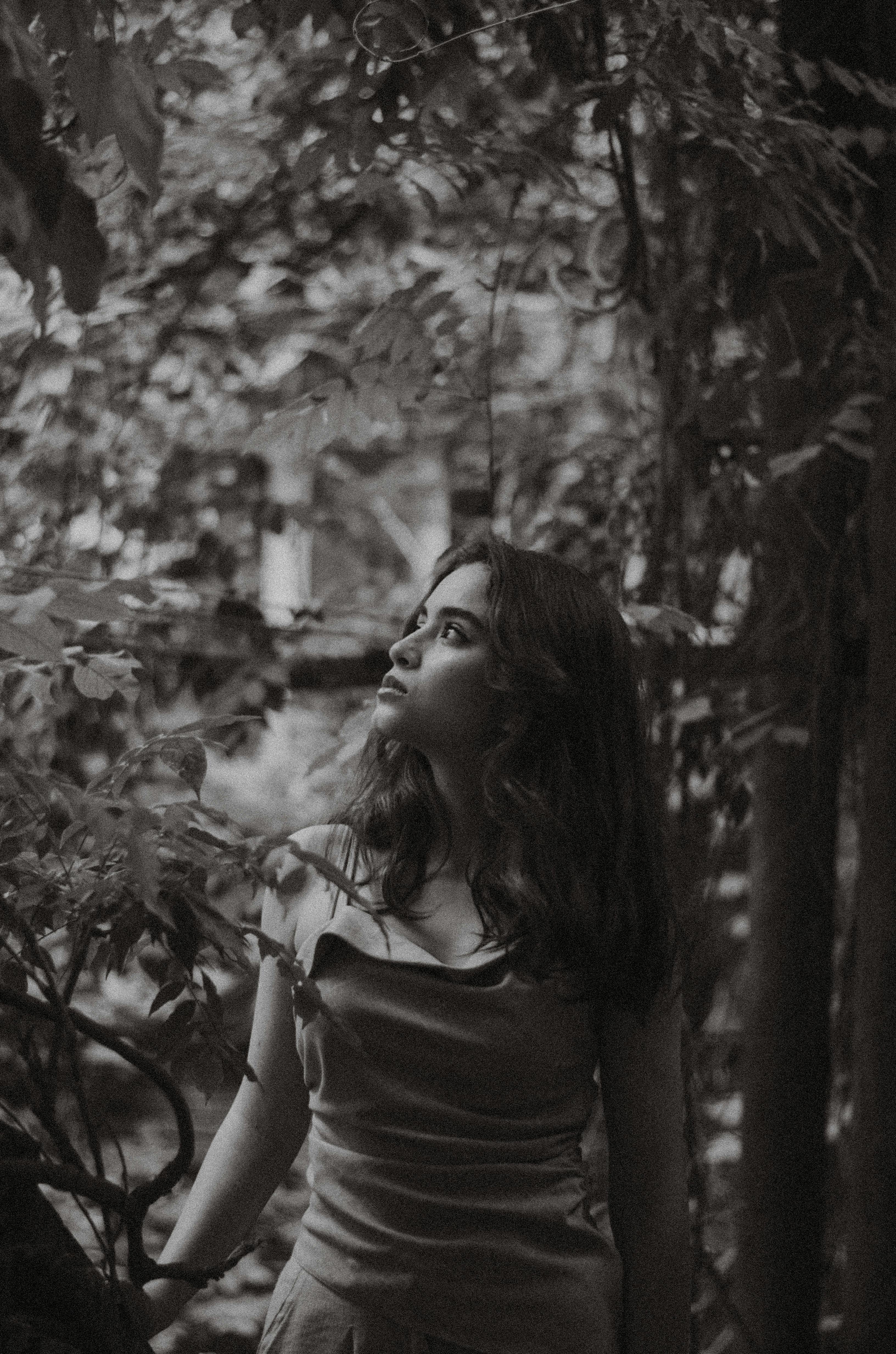 Woman Walking Among the Trees · Free Stock Photo