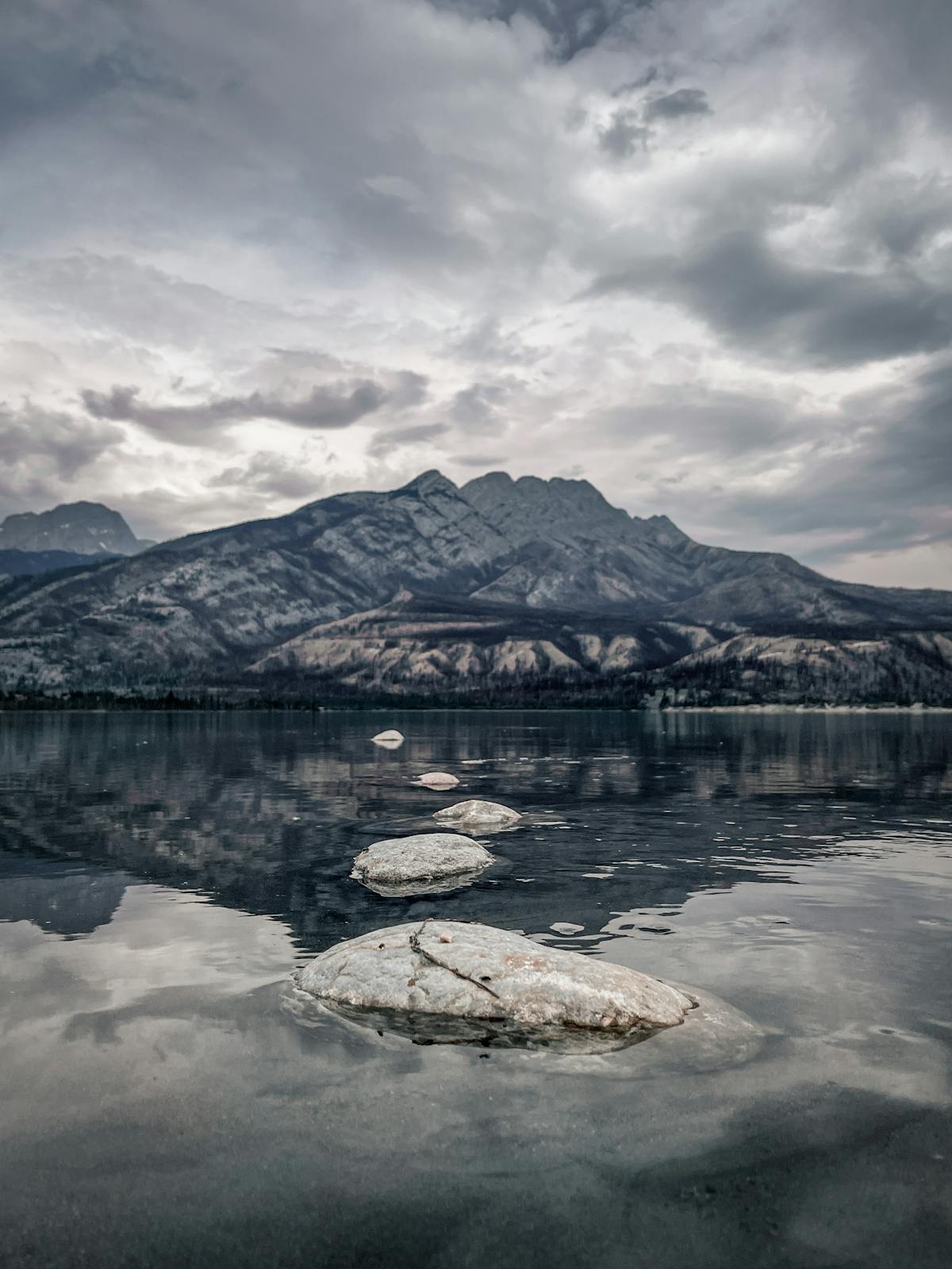Lychee Kang Water Photos, Download The BEST Free Lychee Kang Water ...