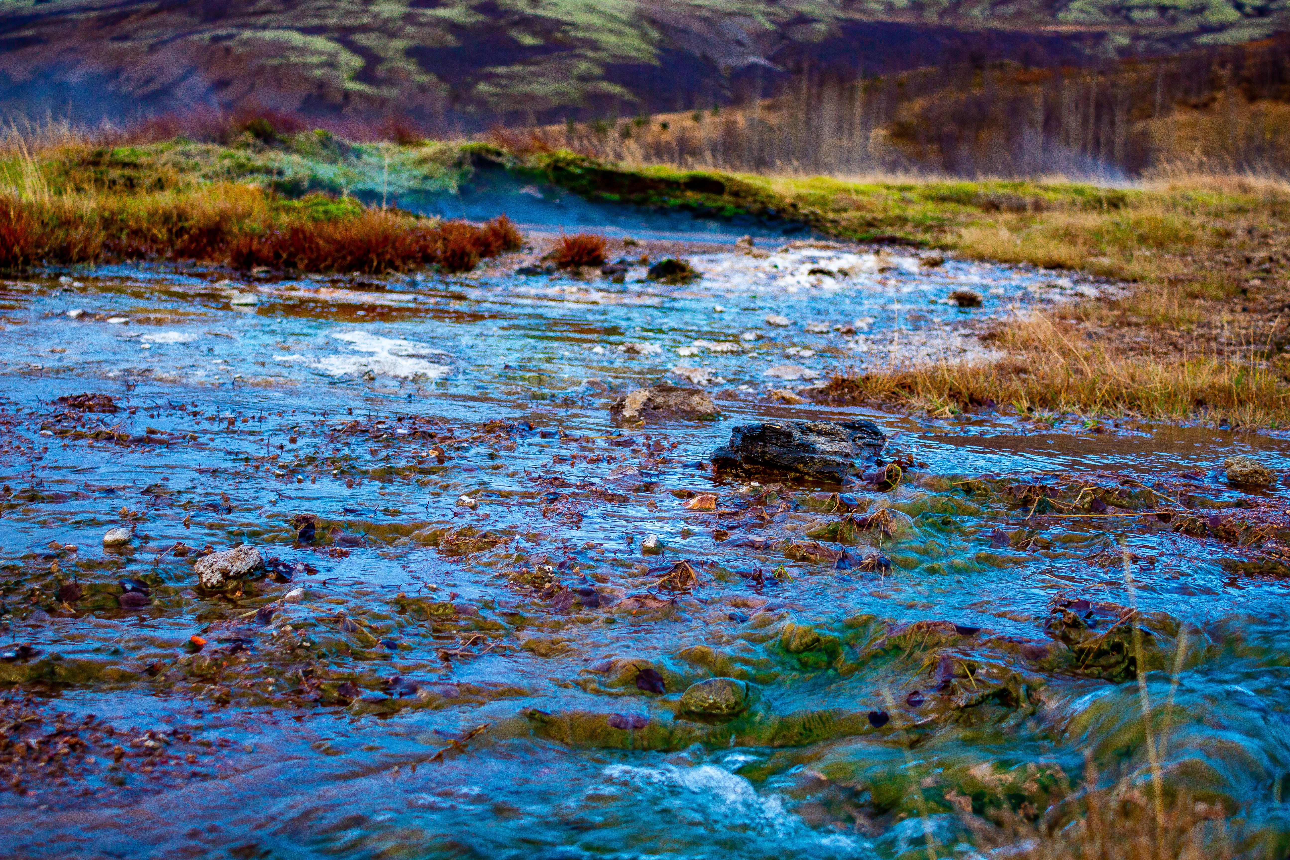Close-up of a Shallow River Flowing in Mountains · Free Stock Photo