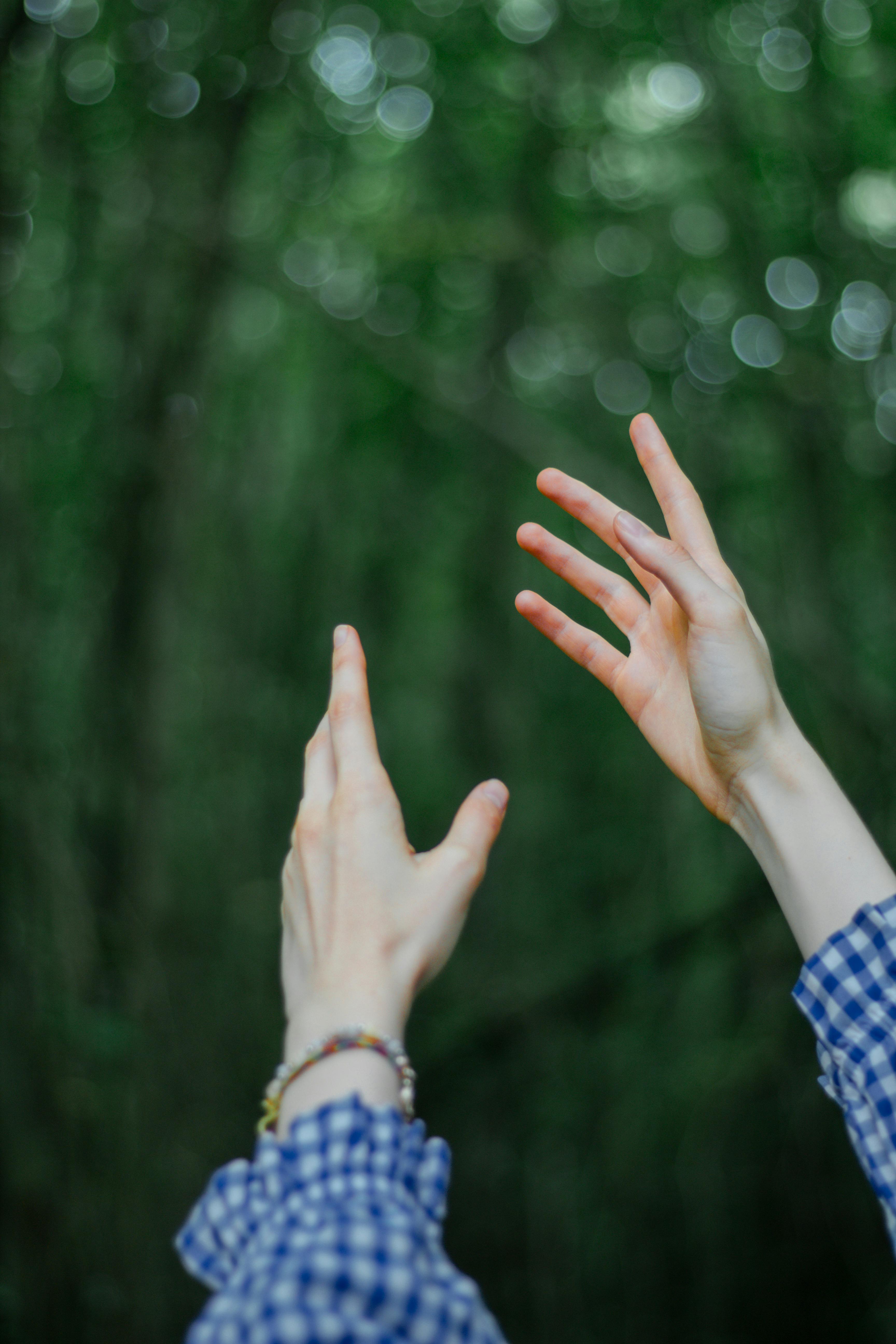 Hands Raised in Forest · Free Stock Photo