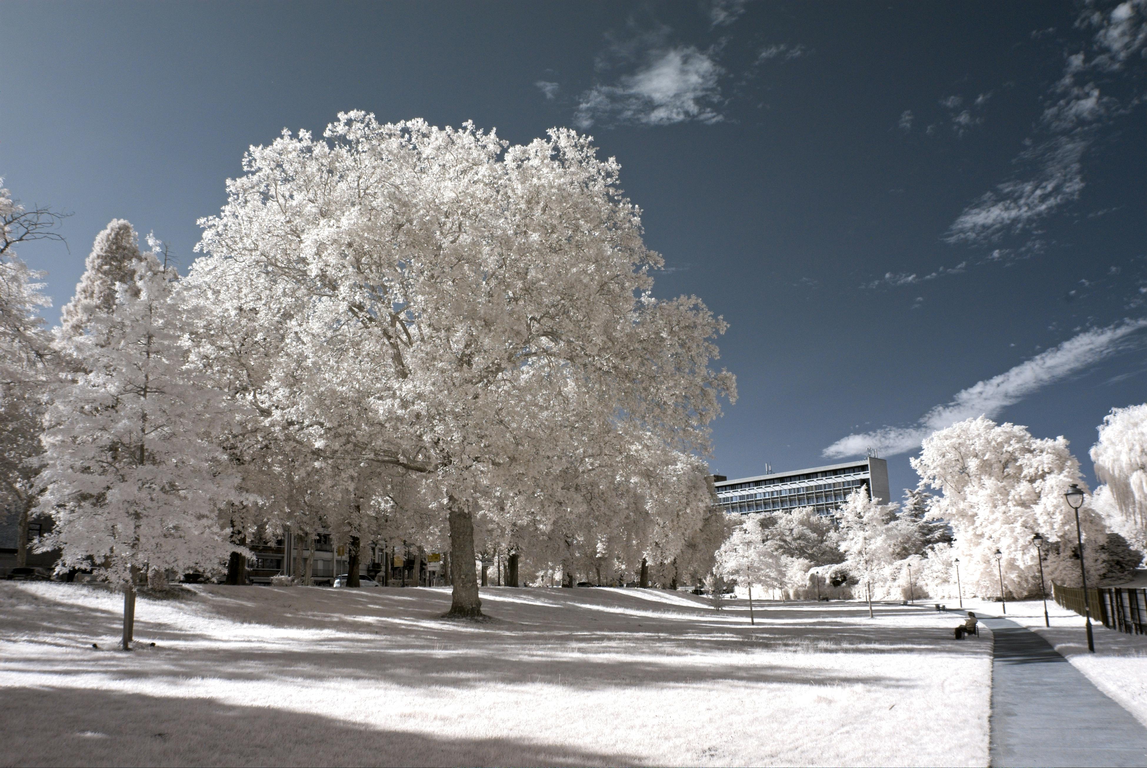 City Park Path Photos, Download The BEST Free City Park Path Stock ...