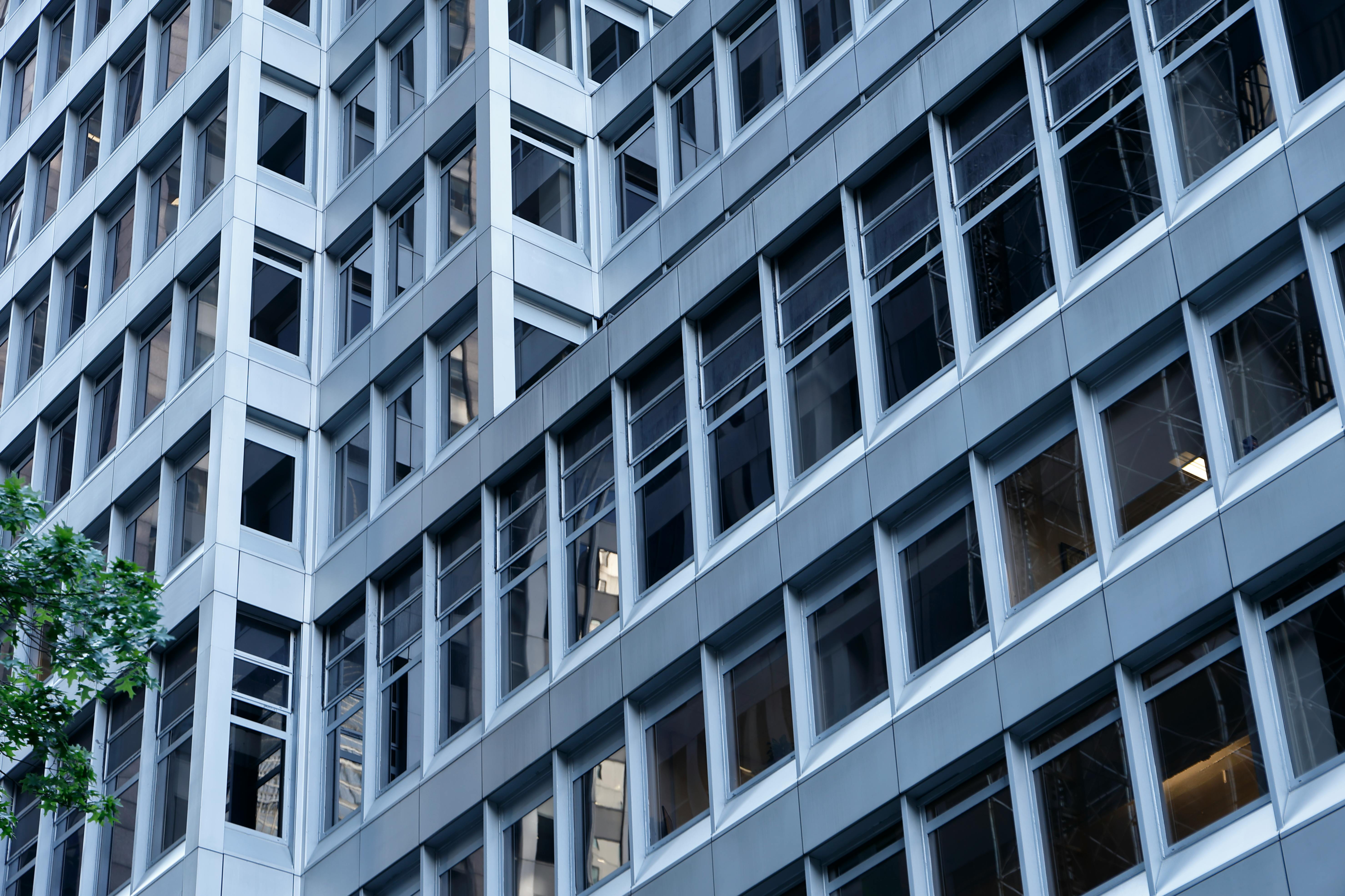 Windows of Office Building · Free Stock Photo