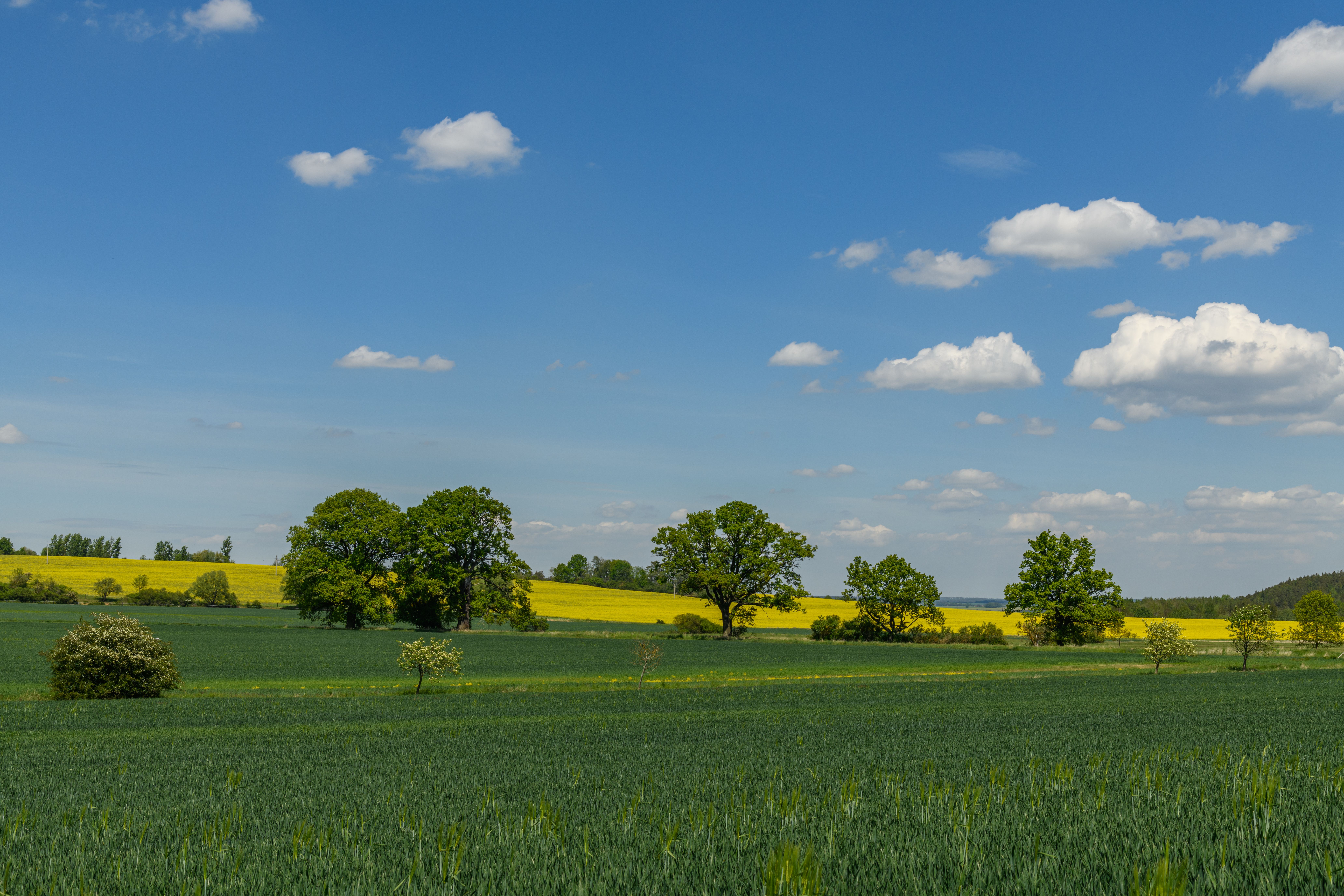 Green Field in Countryside · Free Stock Photo