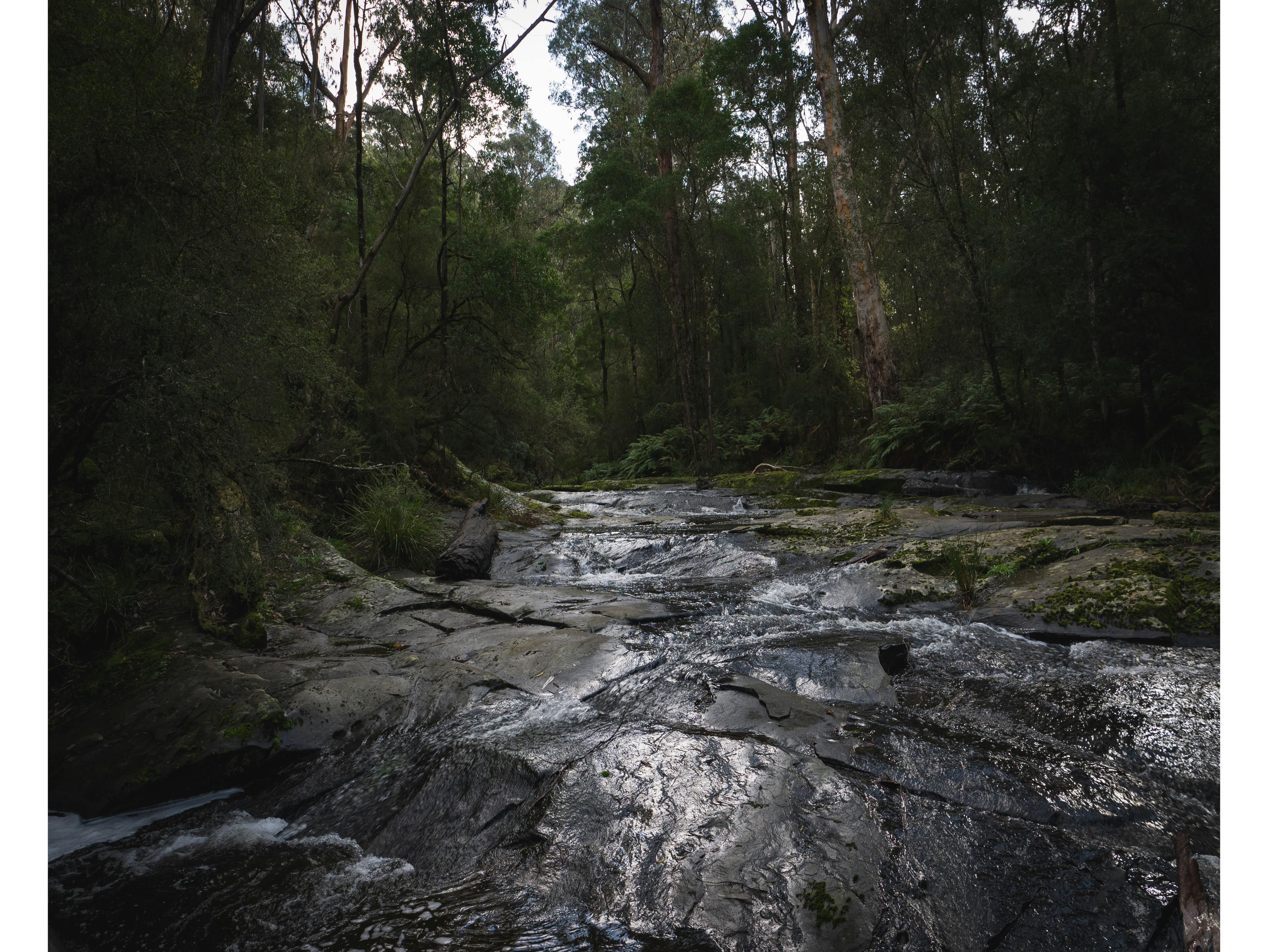 Shallow Stream Flowing on Plain Rocks · Free Stock Photo