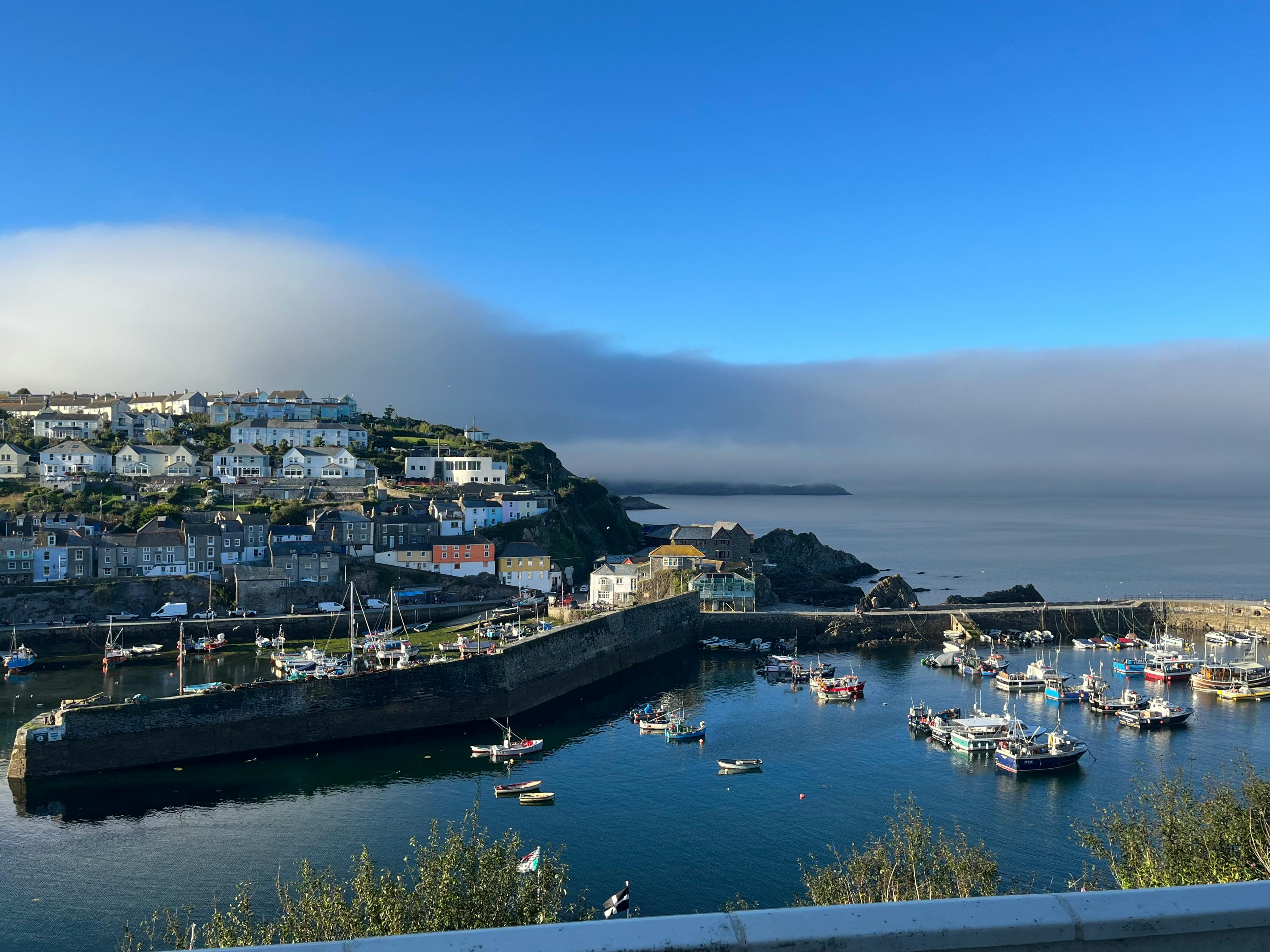 Alison Marsh - 写真