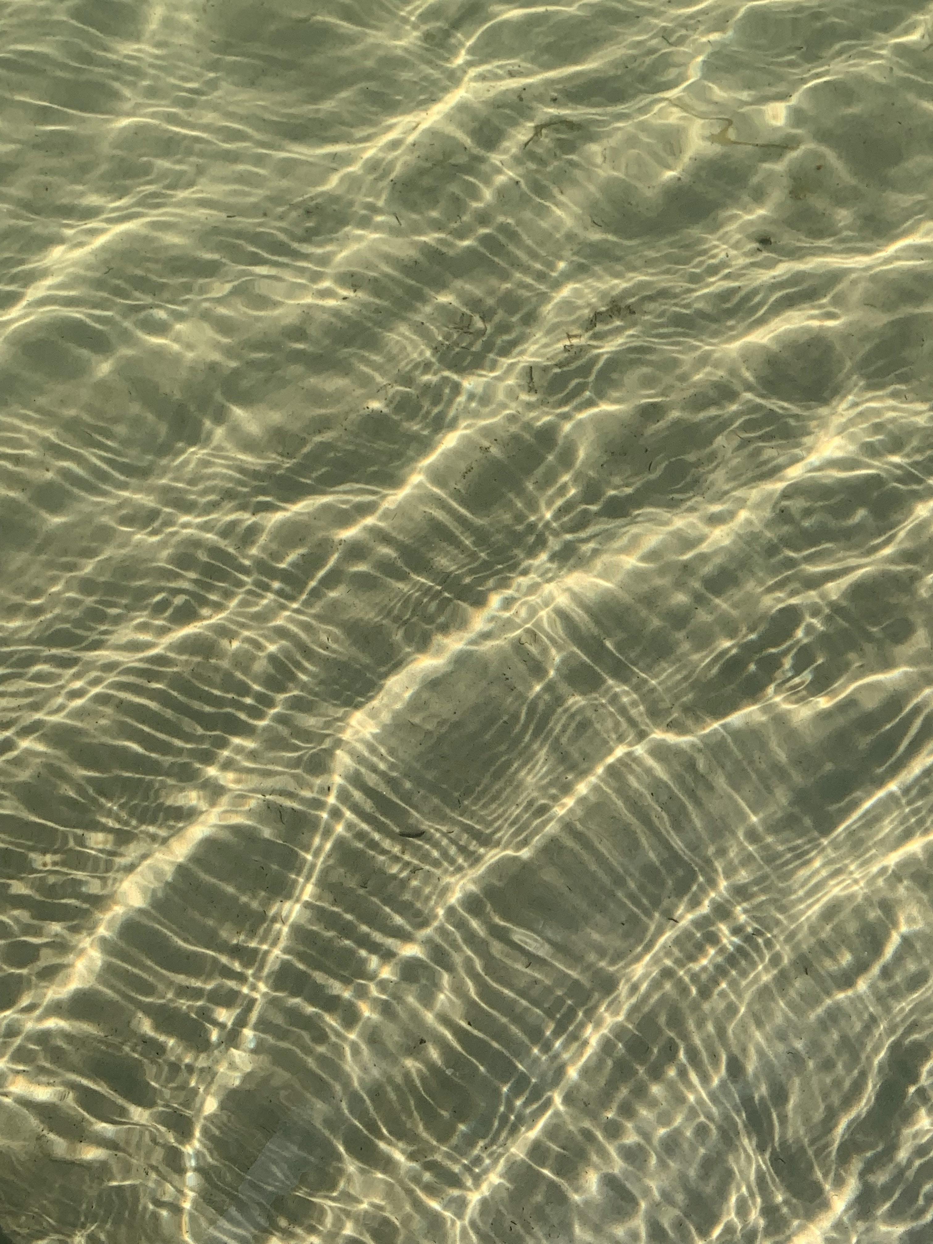 Rippling Water Reflecting the Sun · Free Stock Photo
