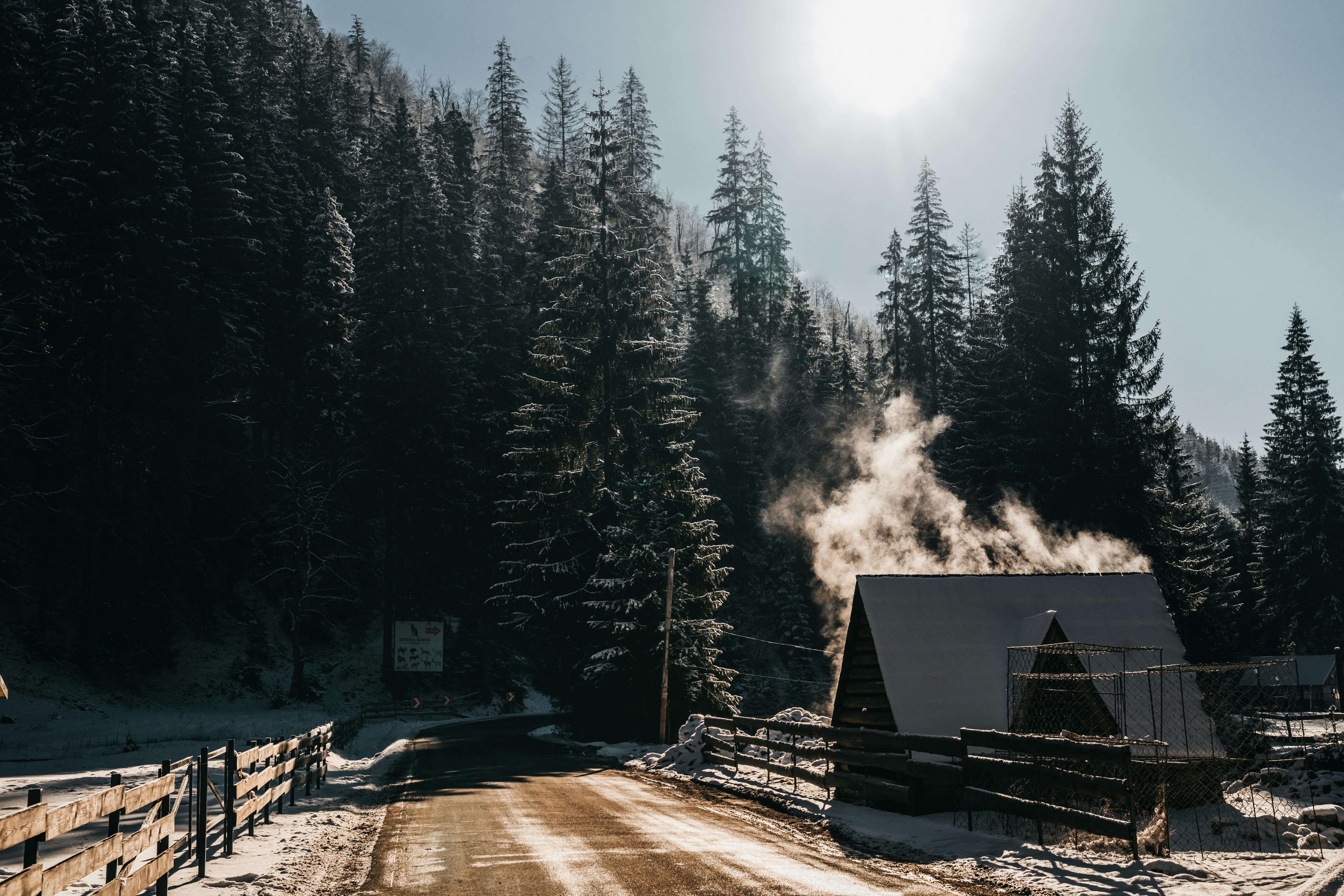 Steam Rising from a Wooden Hut Roof at the Edge of Forest in Winter ...