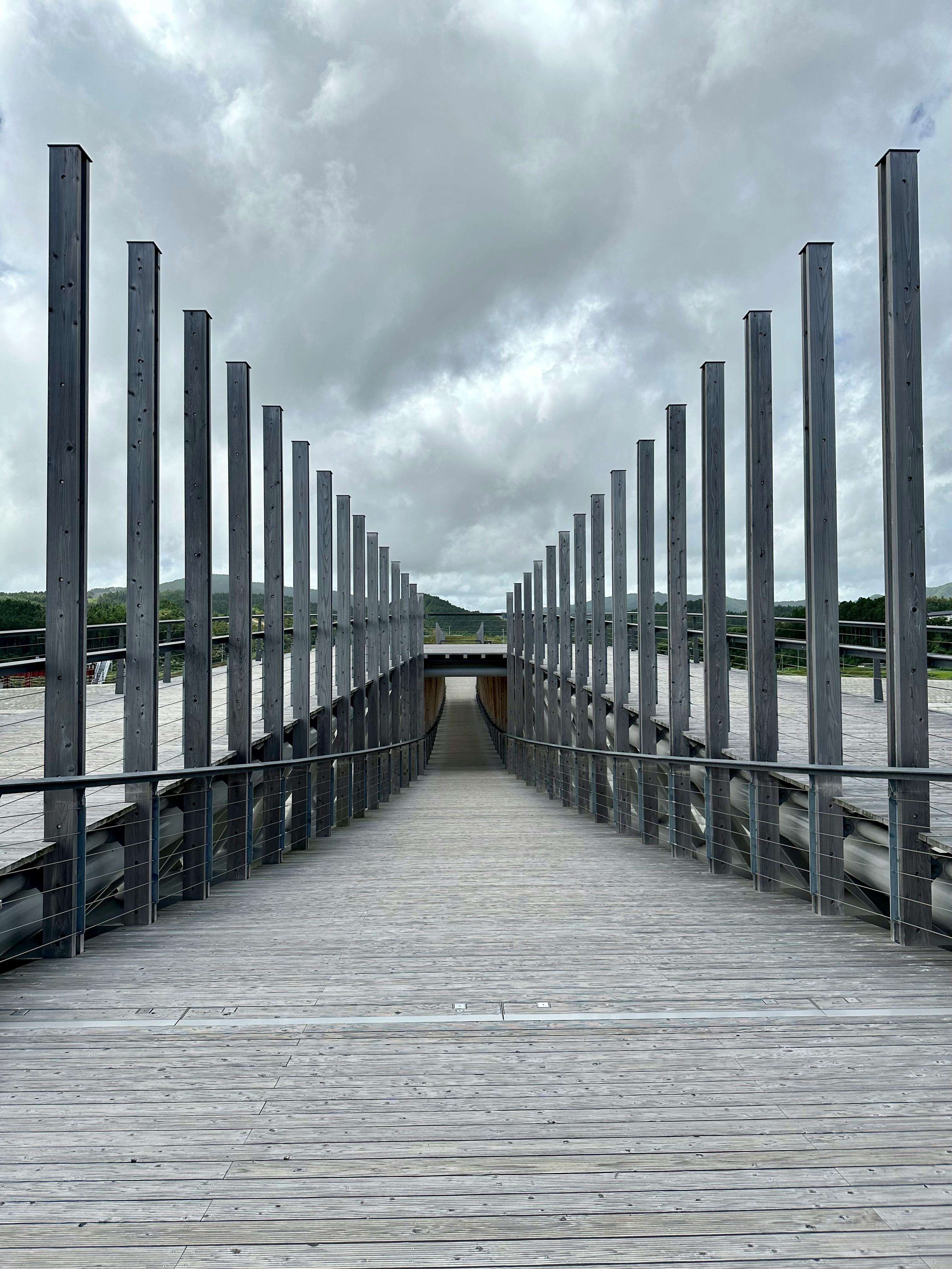 Pavement Cells Photos, Download The BEST Free Pavement Cells Stock ...