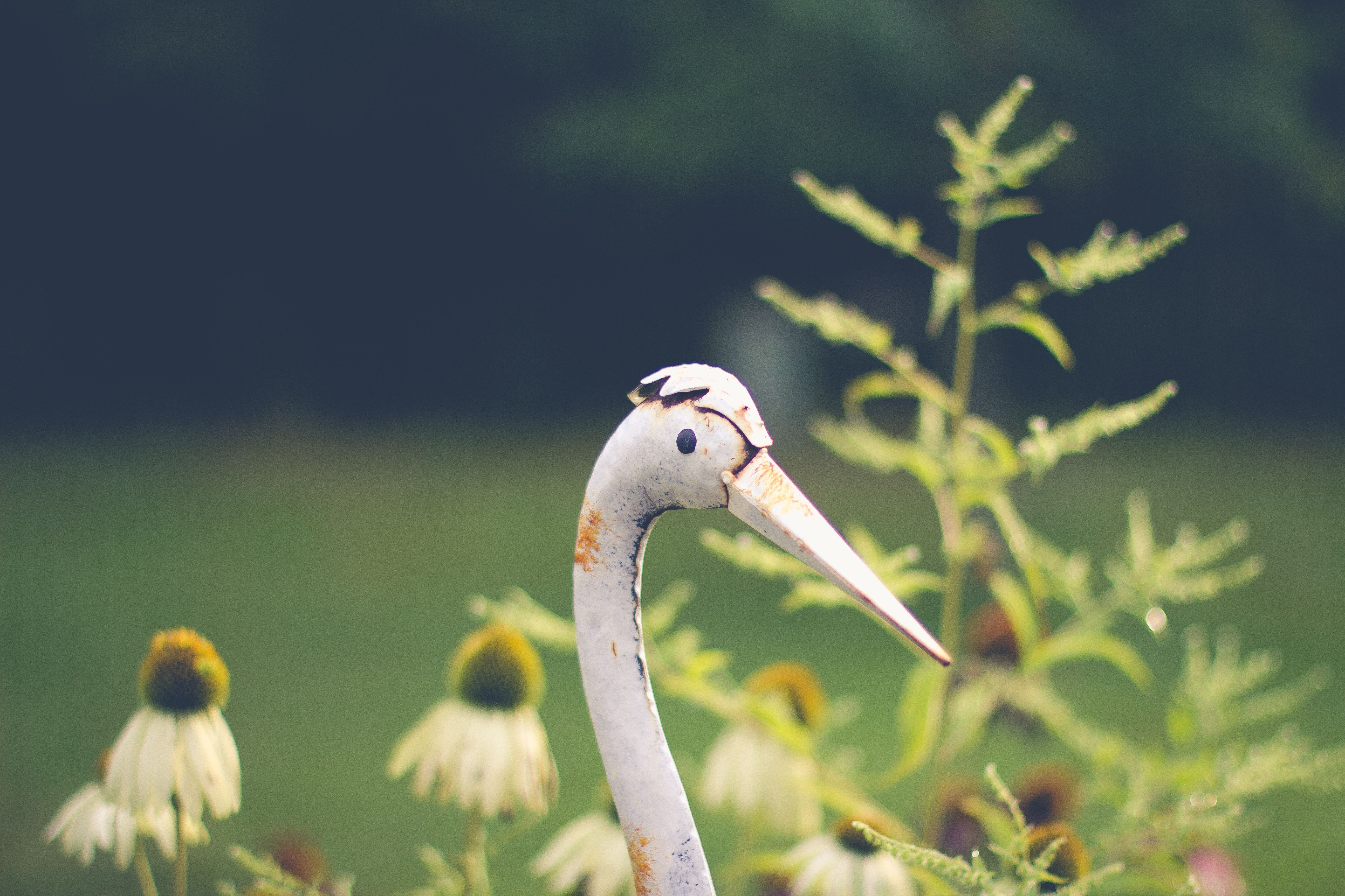 Crane Cover Photos, Download The BEST Free Crane Cover Stock Photos ...