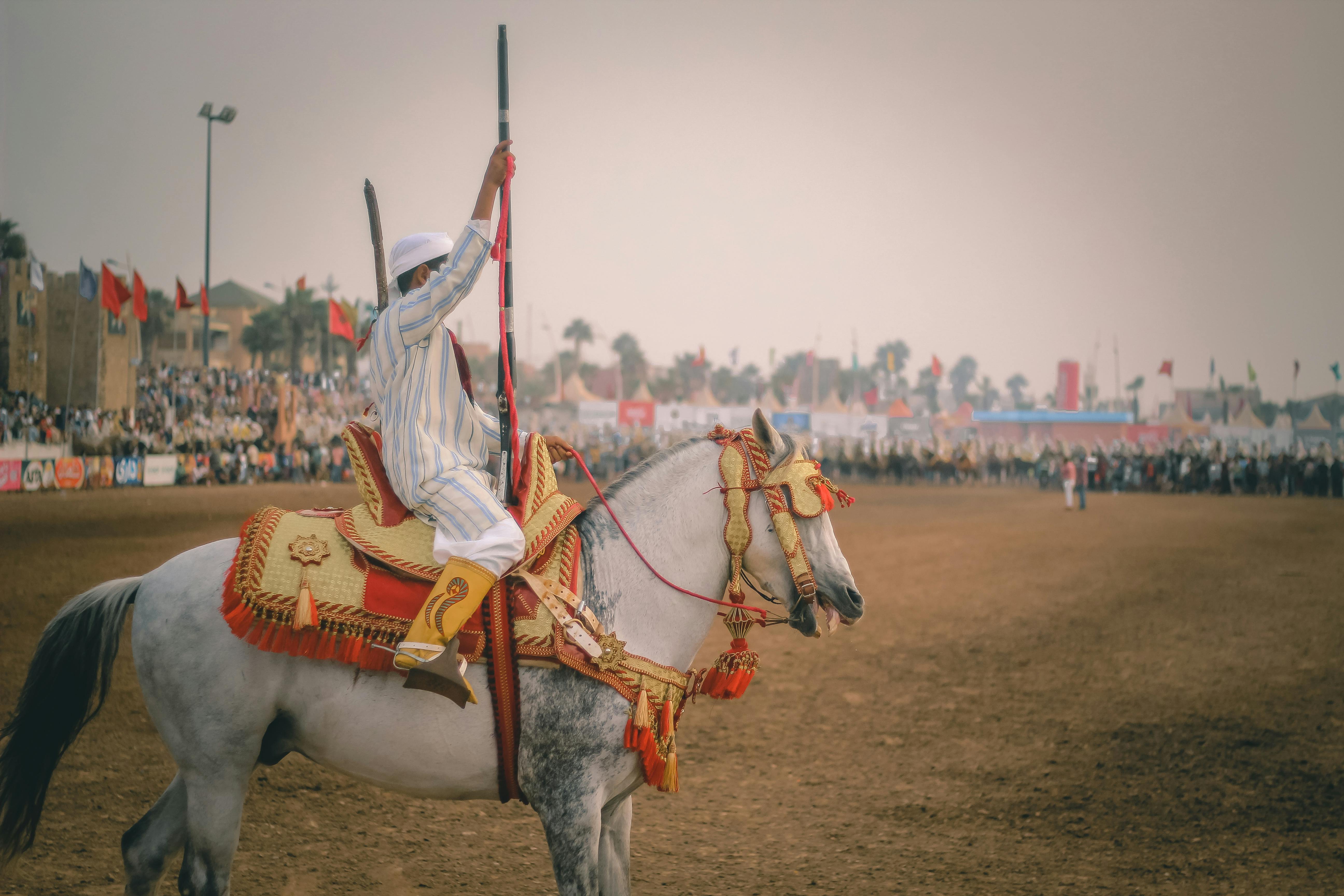 Photographic SABER - Photography