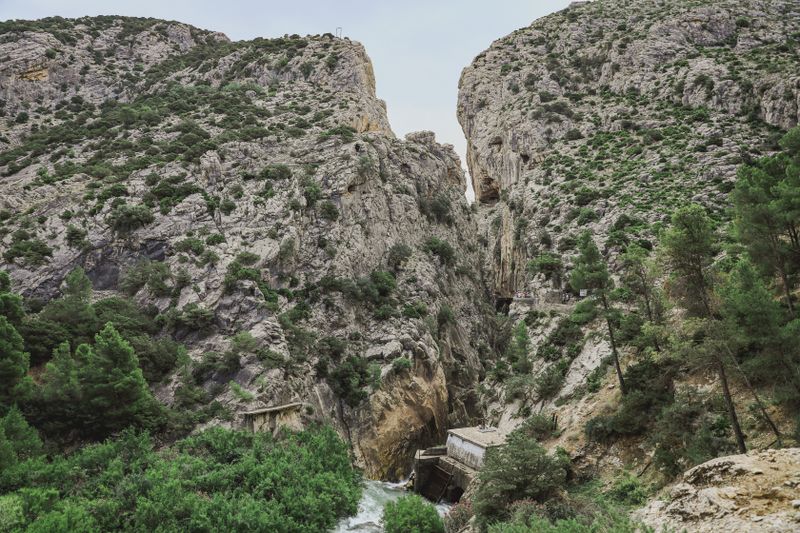 Dramatic cliffs and dense foliage in the Caminito del Rey gorge near Malaga Spain