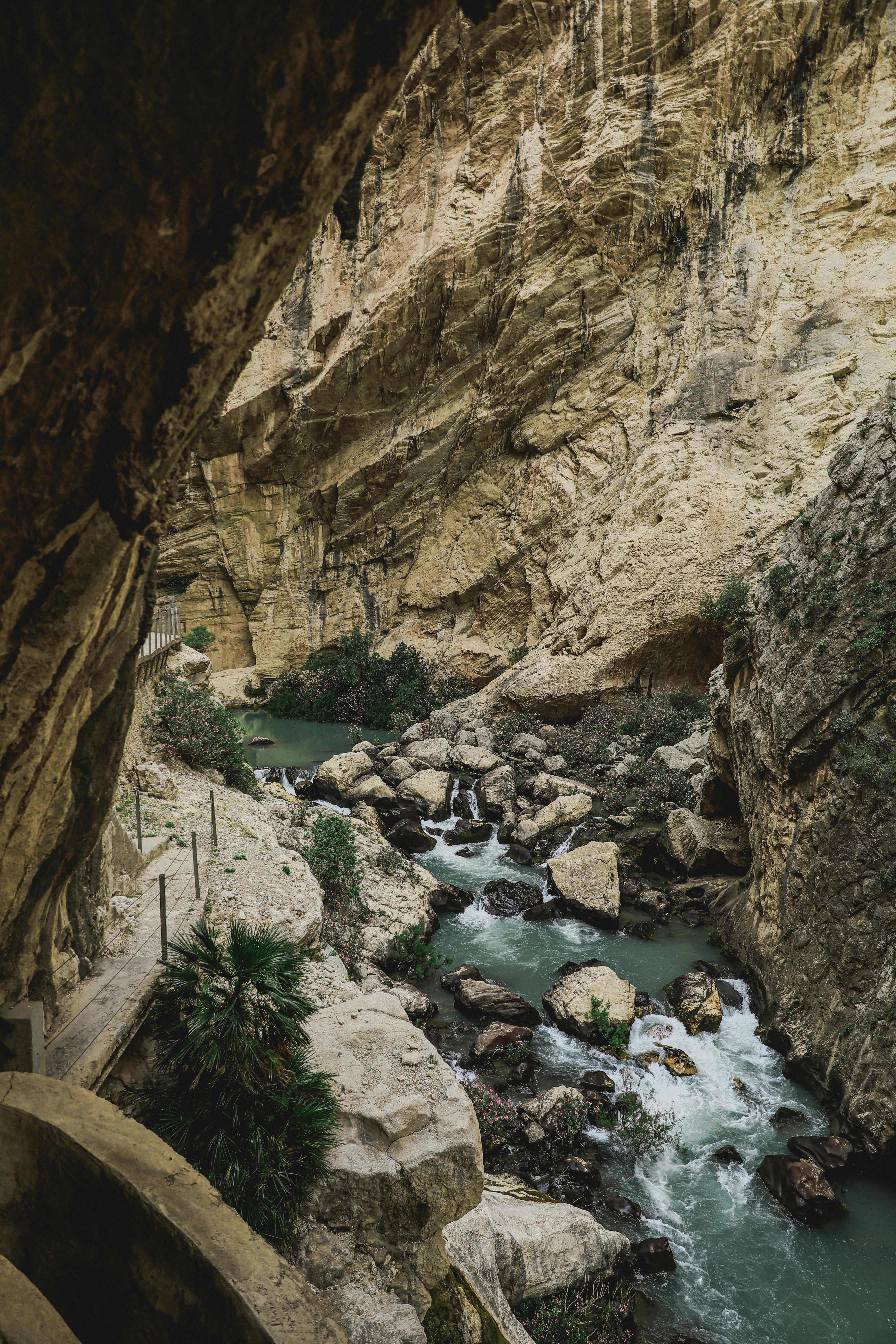 Rocks in Stream in Canyon · Free Stock Photo