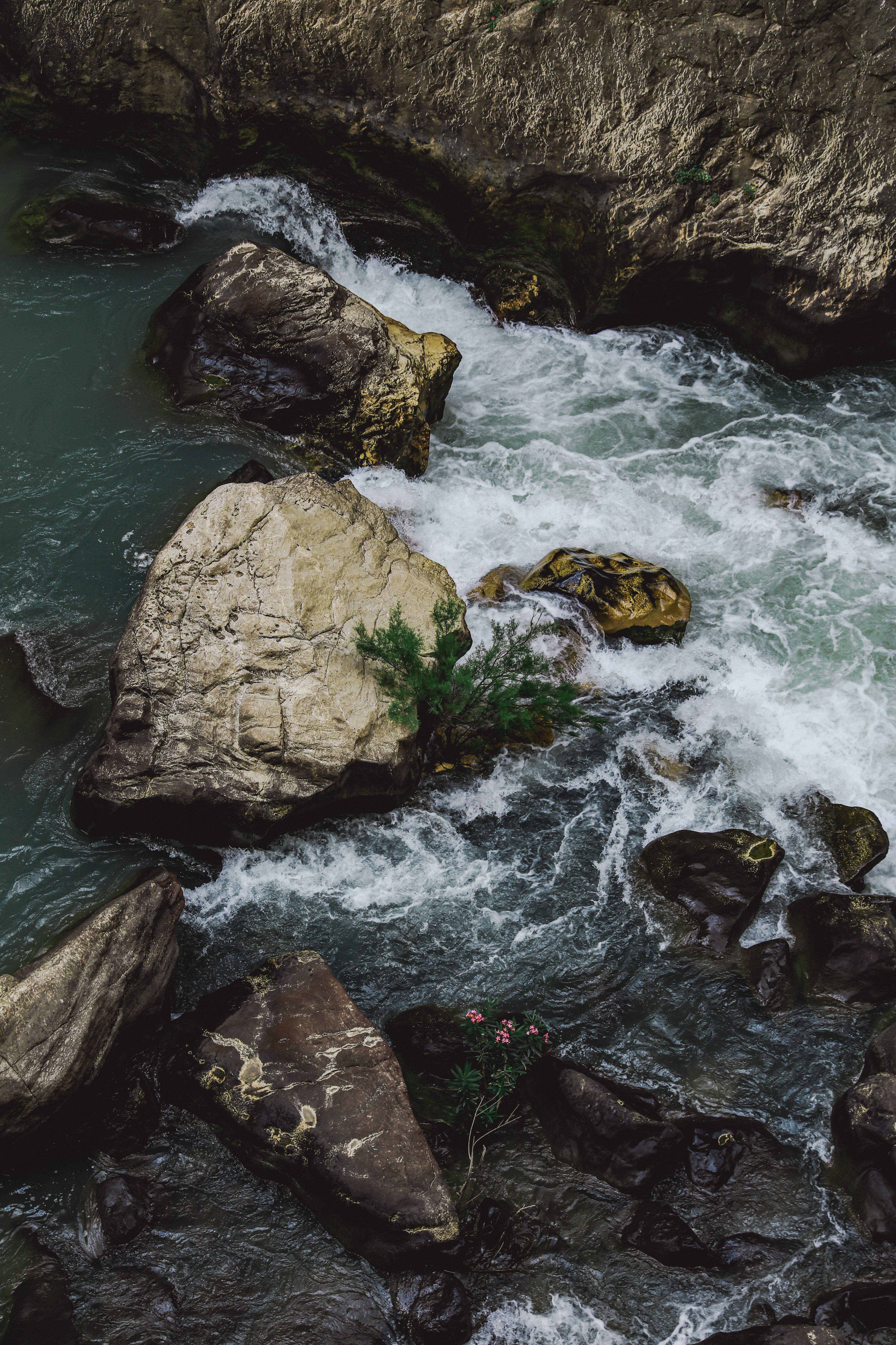 Photo of a Fast Moving River · Free Stock Photo