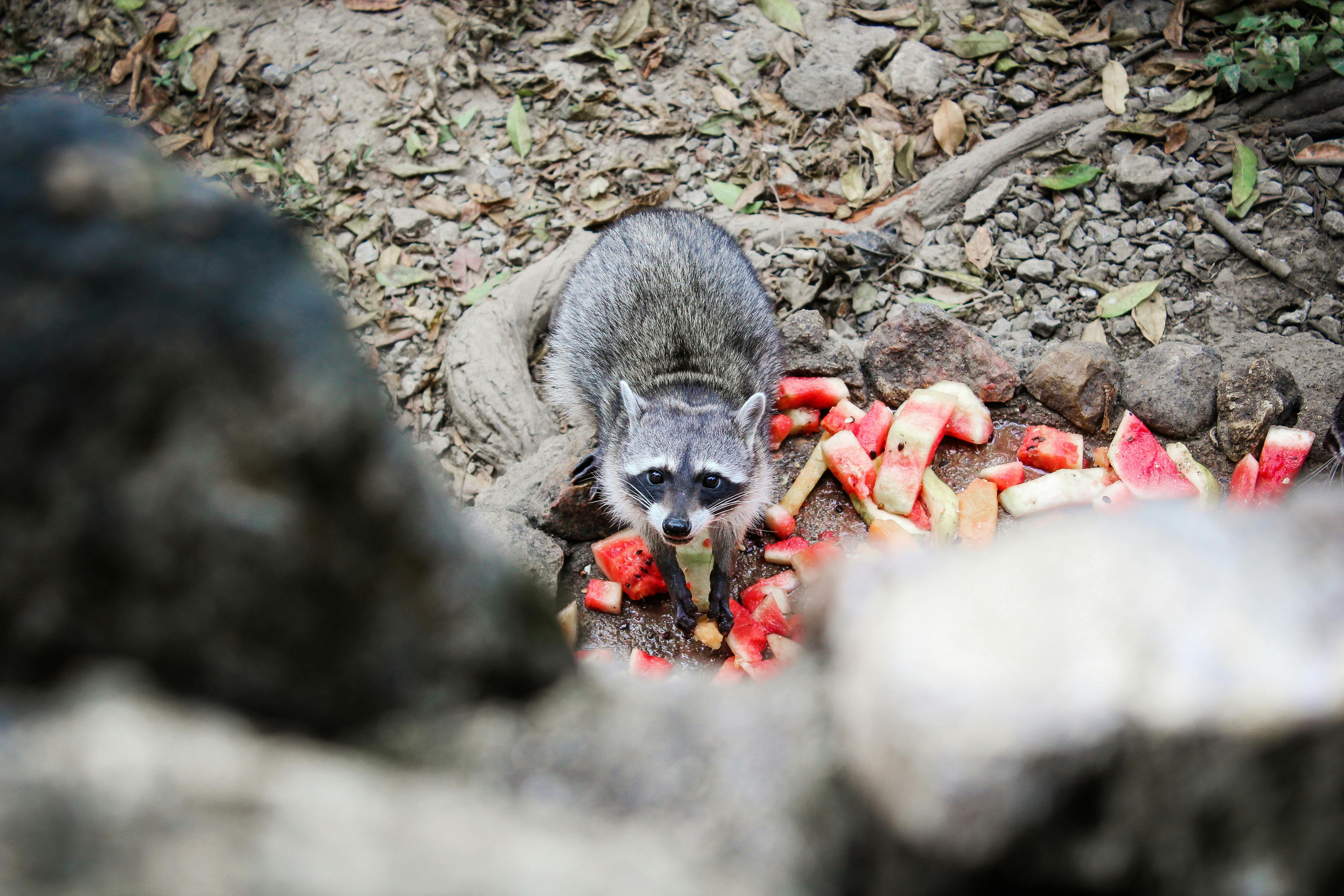 Bryan Alejandro - 写真