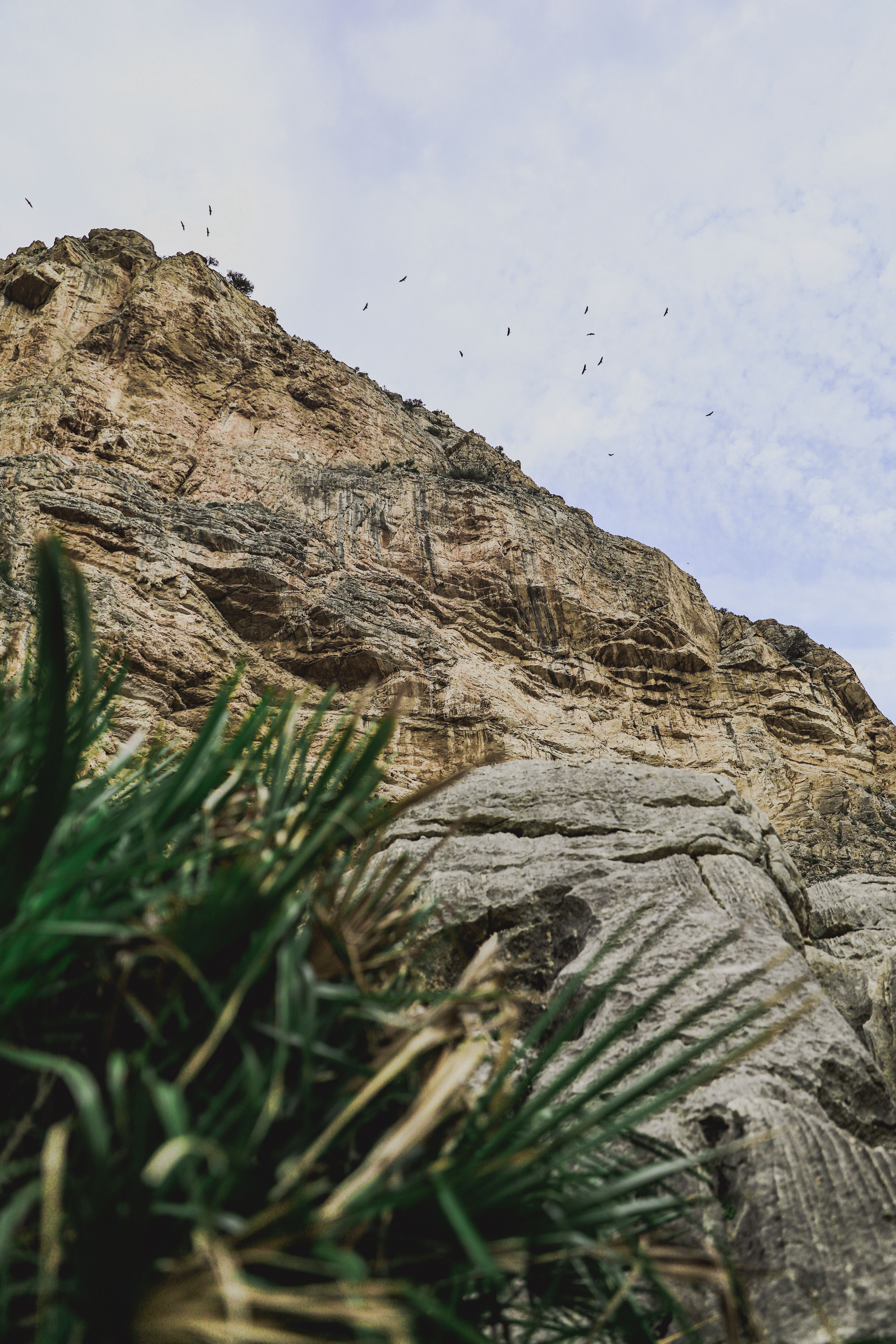 Rocky Cliff in a Mountain Valley · Free Stock Photo