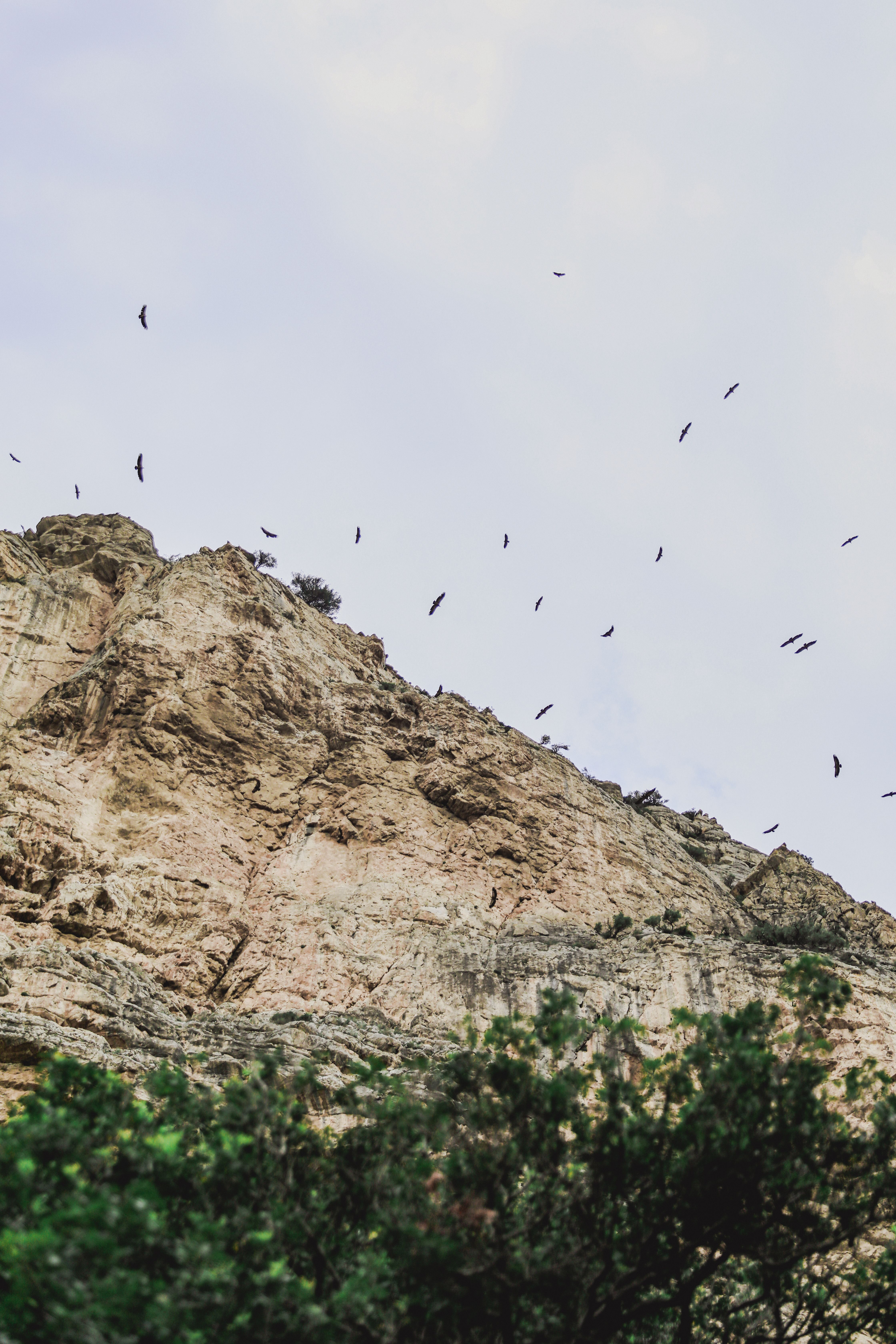 Rocky Cliff in a Mountain Valley · Free Stock Photo