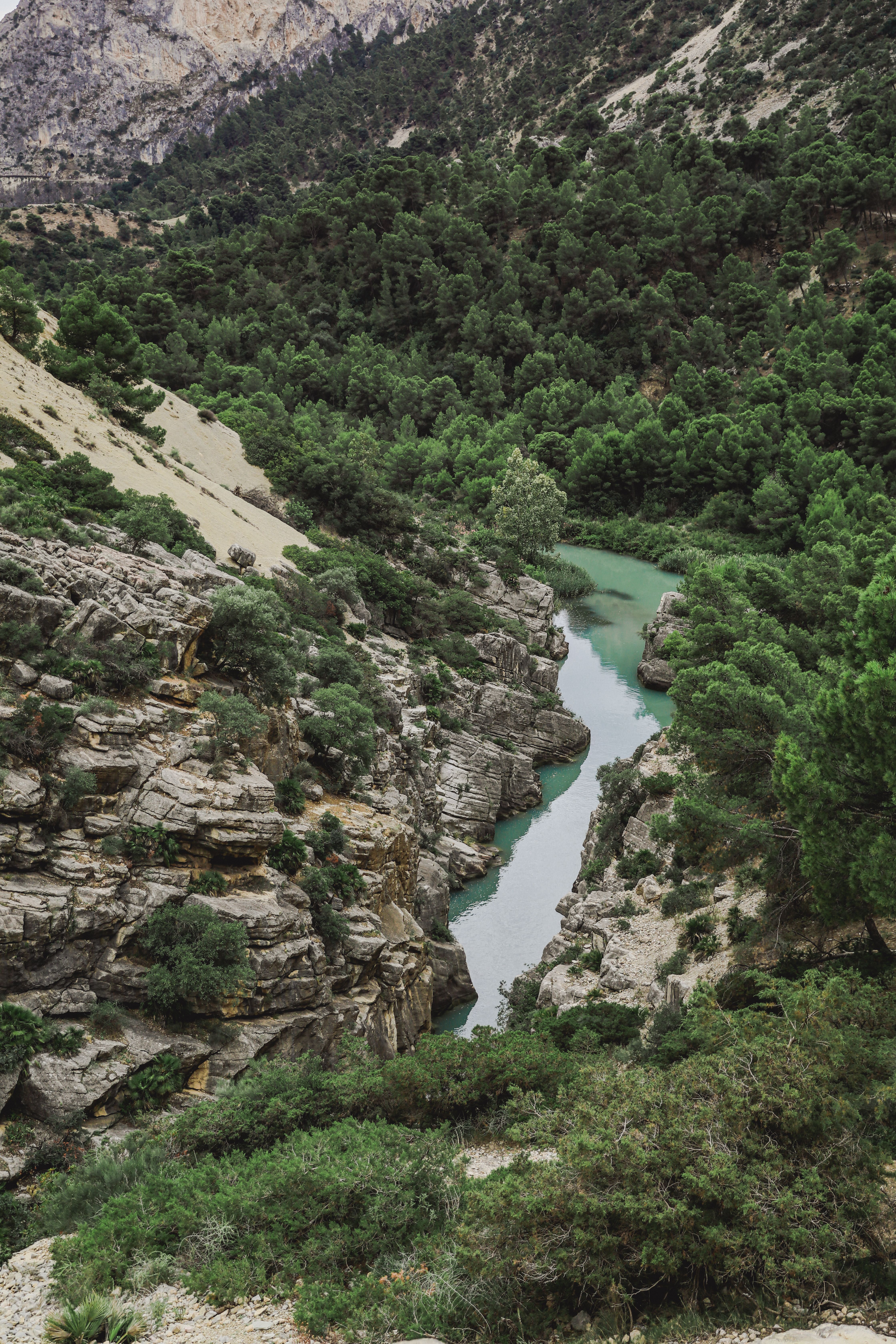 River in Valley · Free Stock Photo
