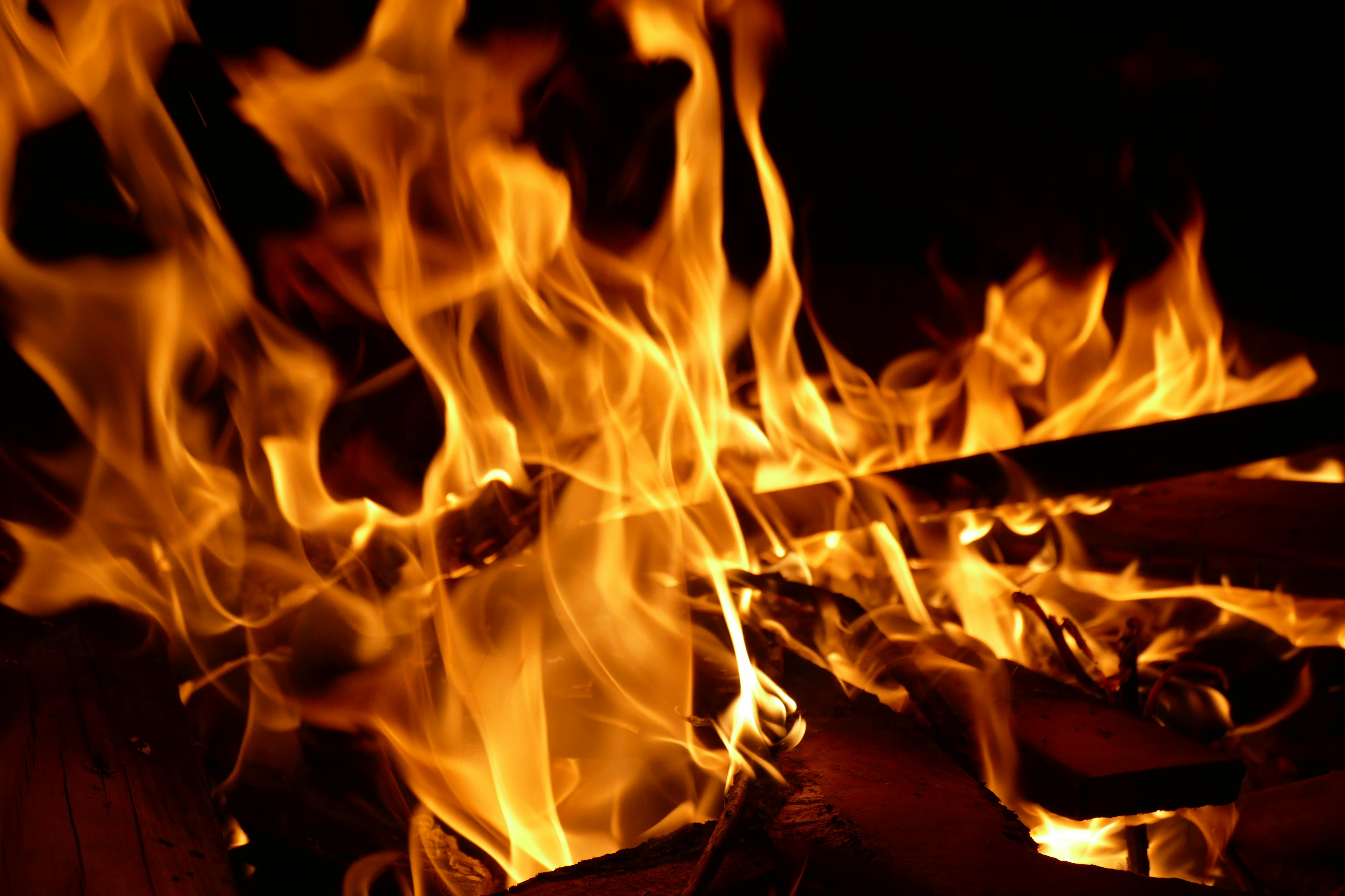 Firewood Animation Photos, Download The BEST Free Firewood Animation ...