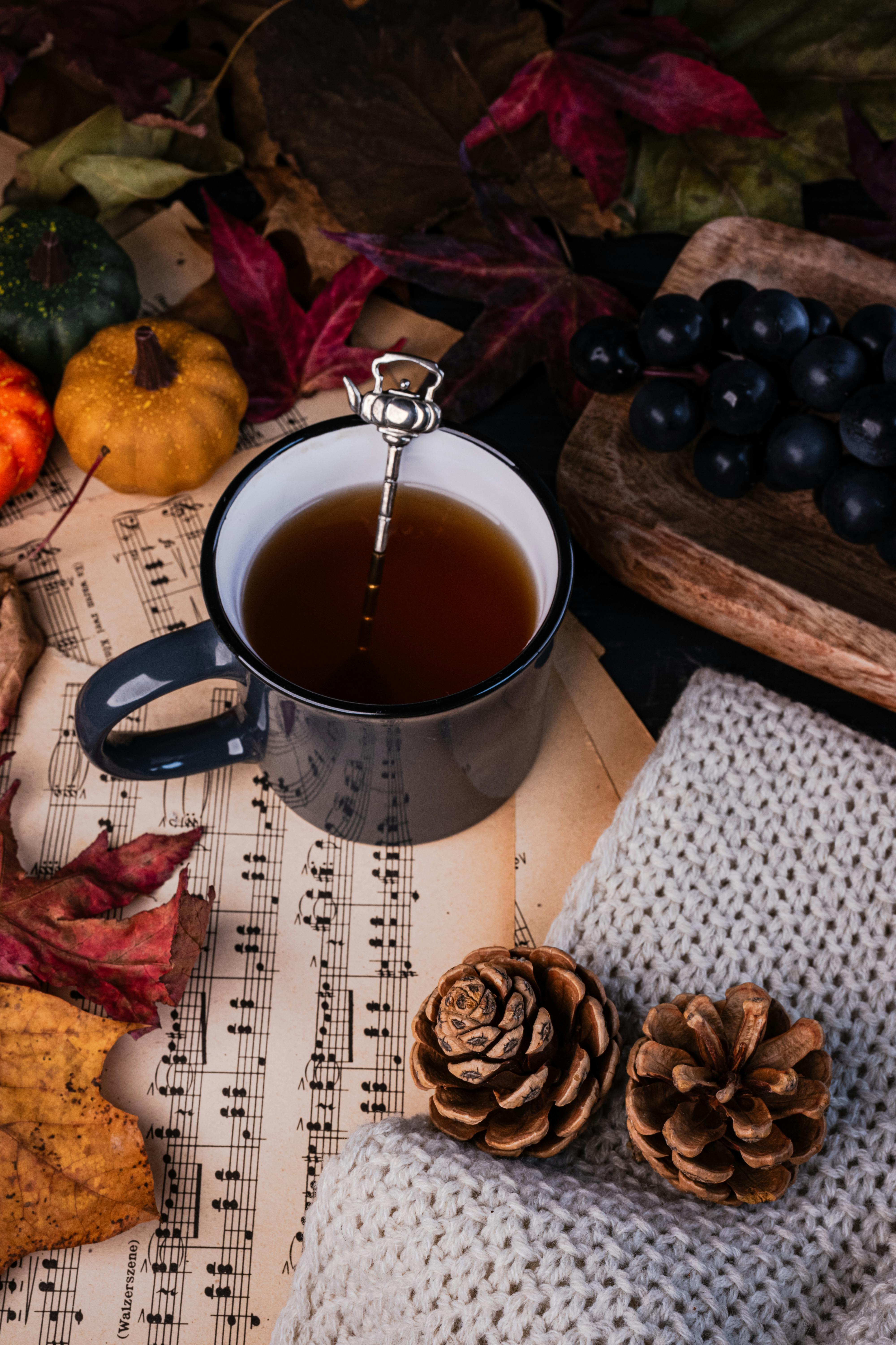 Fall Autumn Photos, Download The BEST Free Fall Autumn Stock Photos ...