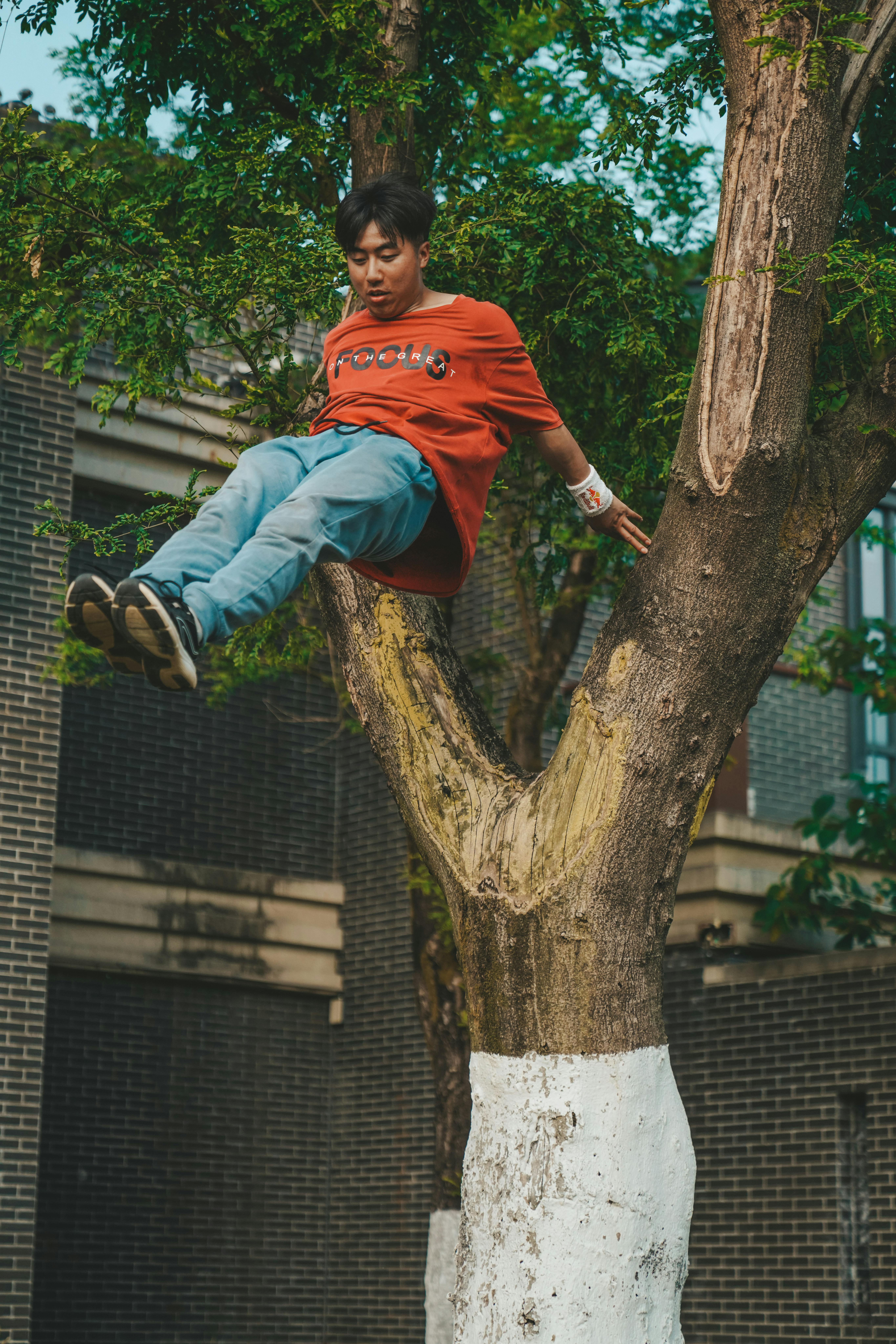 A Man Jumping from a Tree · Free Stock Photo