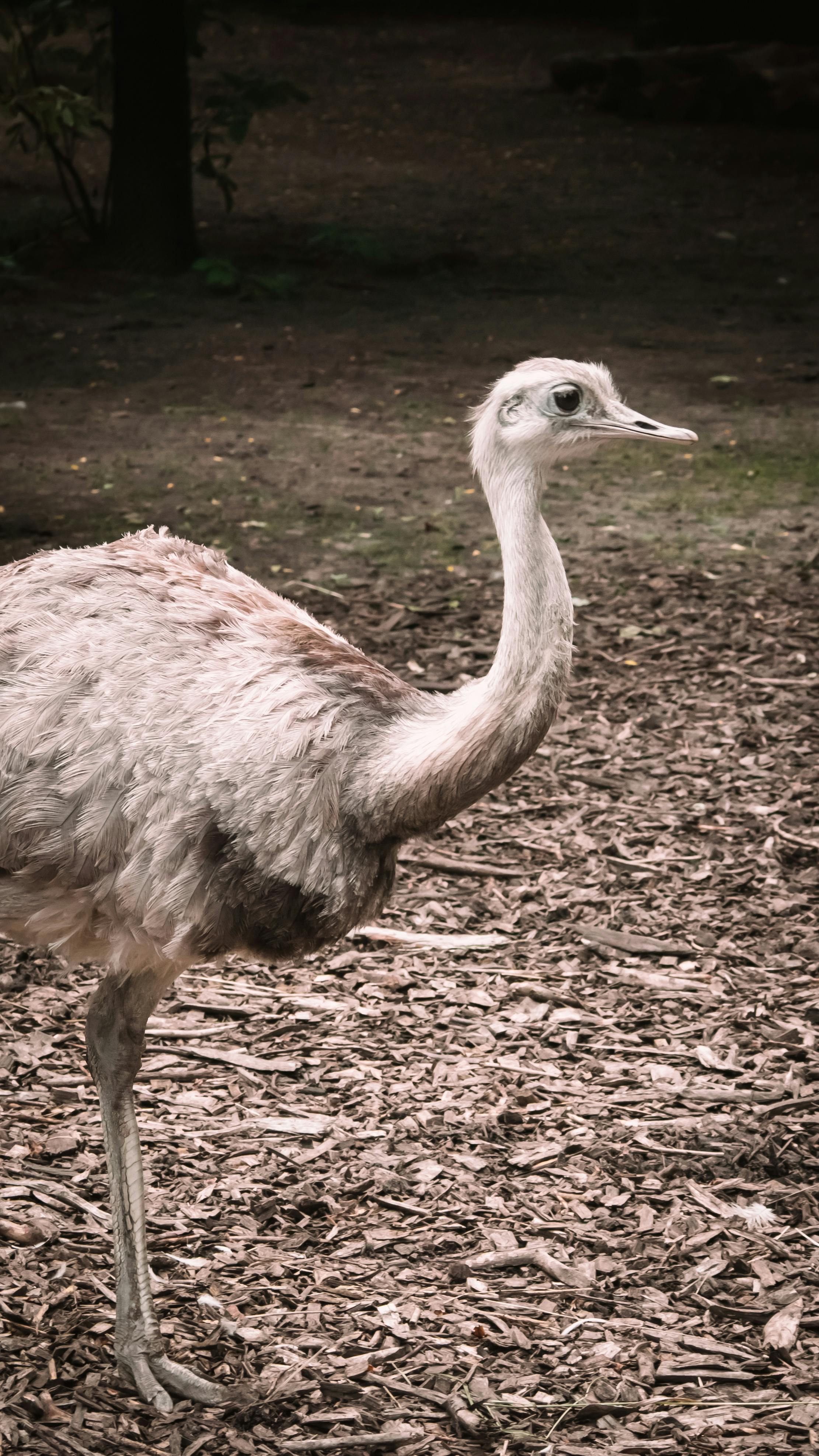 Piotr Baranowski - 攝影