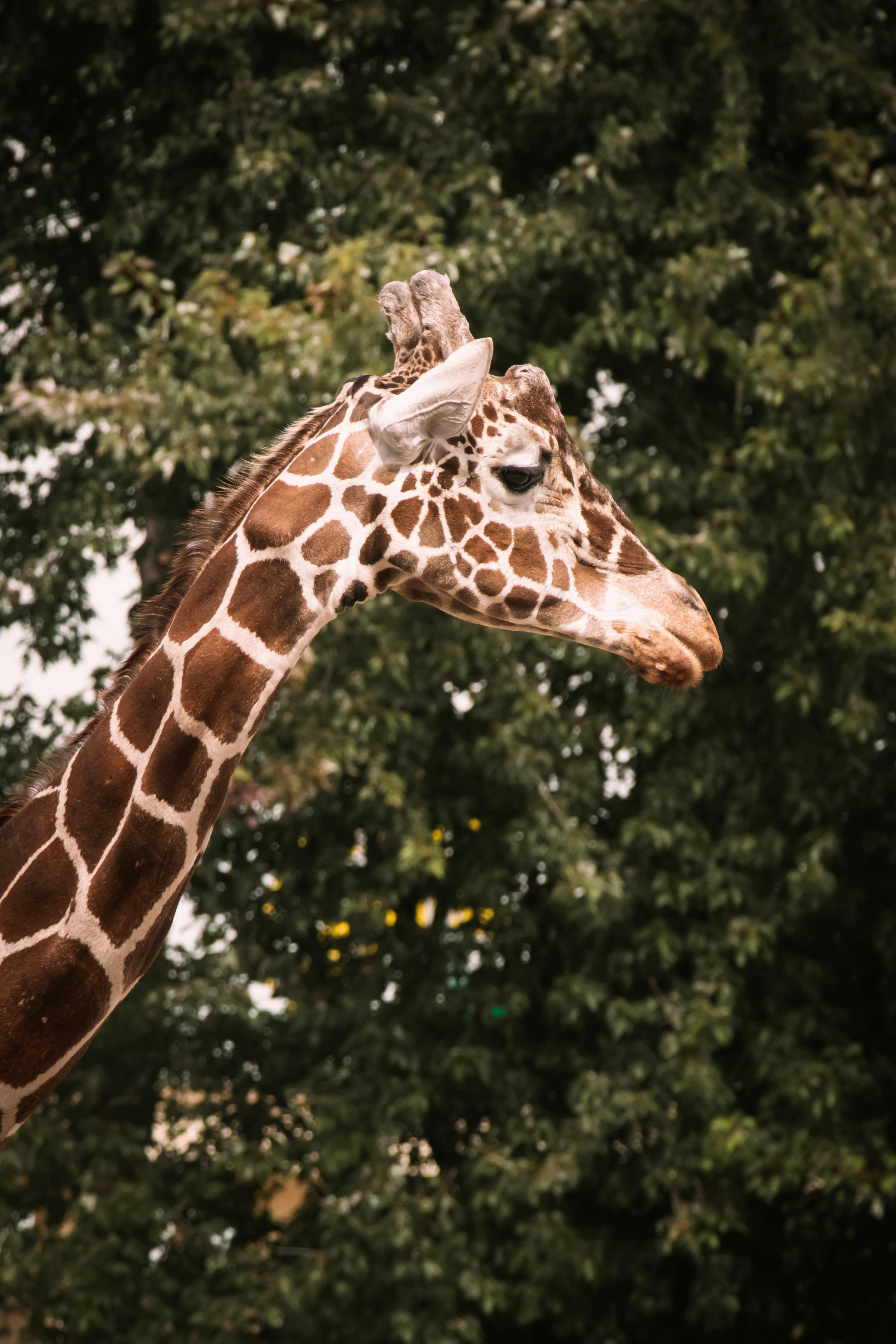 Piotr Baranowski - 攝影